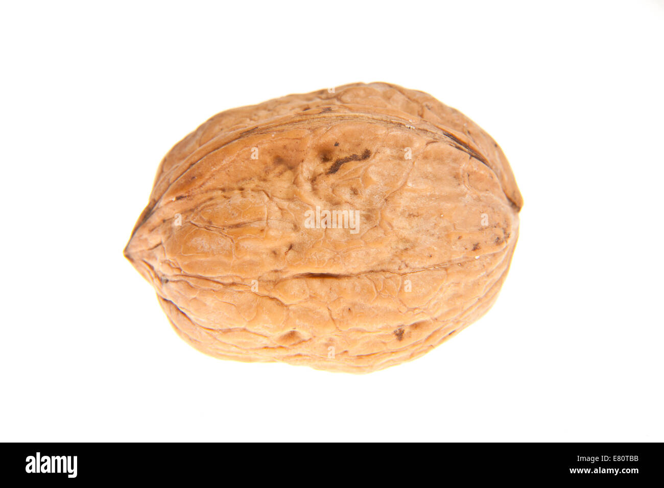 Single walnut isolated on a white background Stock Photo - Alamy