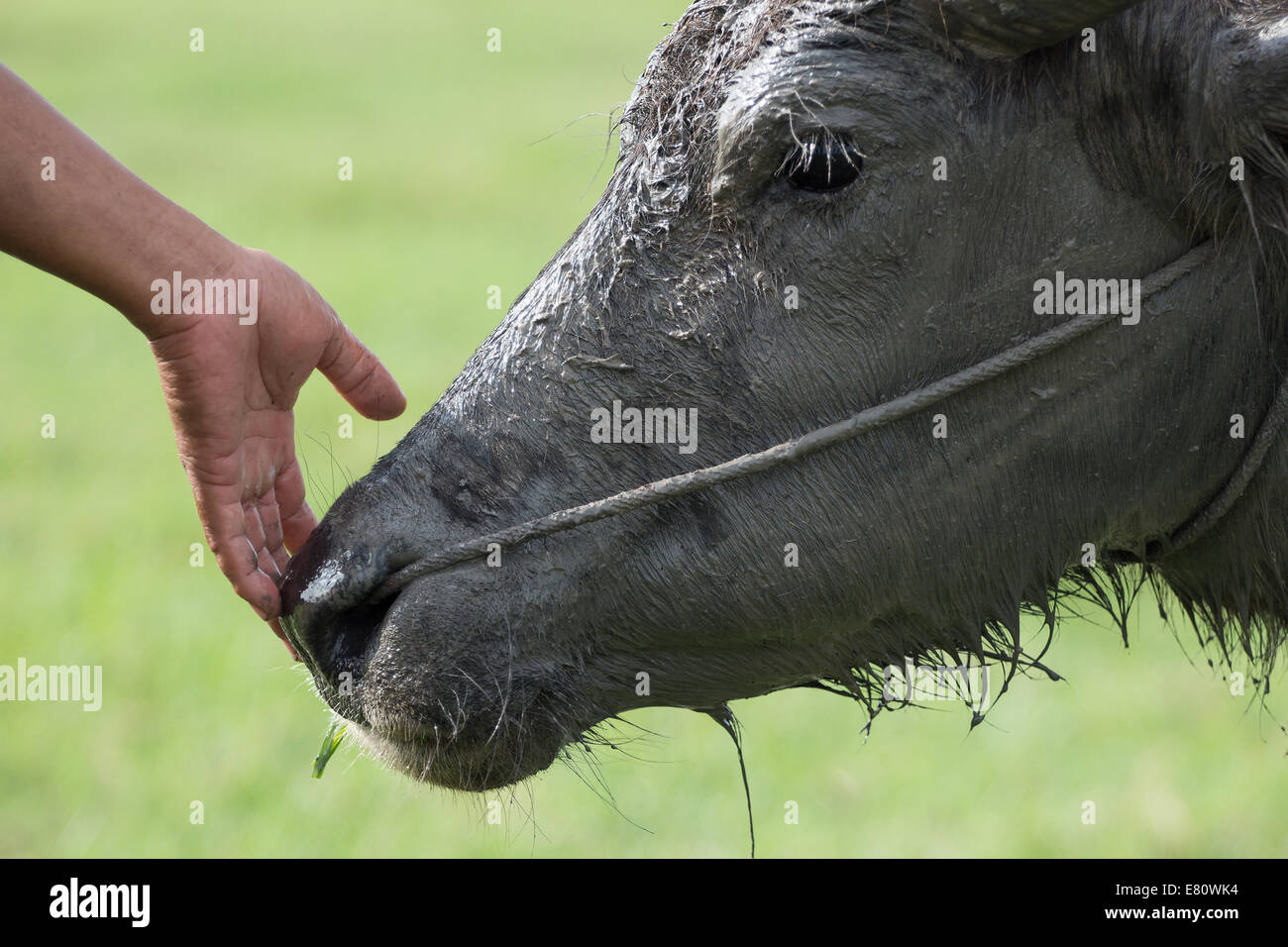 Human touch hi-res stock photography and images - Alamy