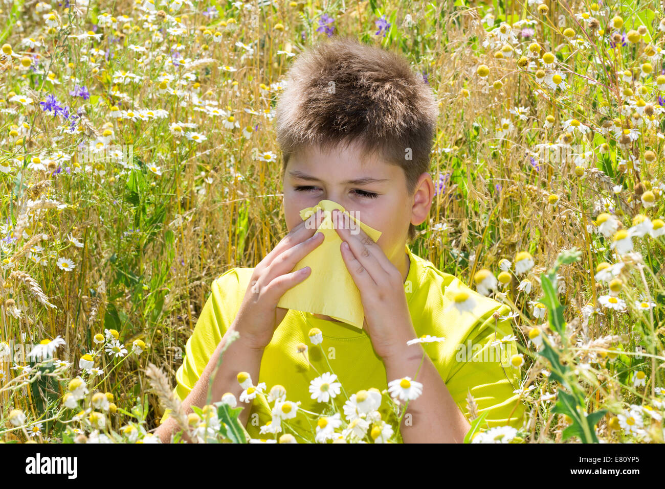 Boy with allergic rhinitis in meadow Stock Photo - Alamy