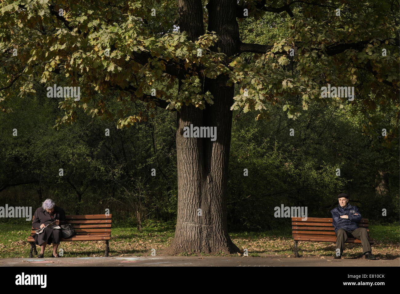 Sit Under Tree Old Man High Resolution Stock Photography and Images - Alamy