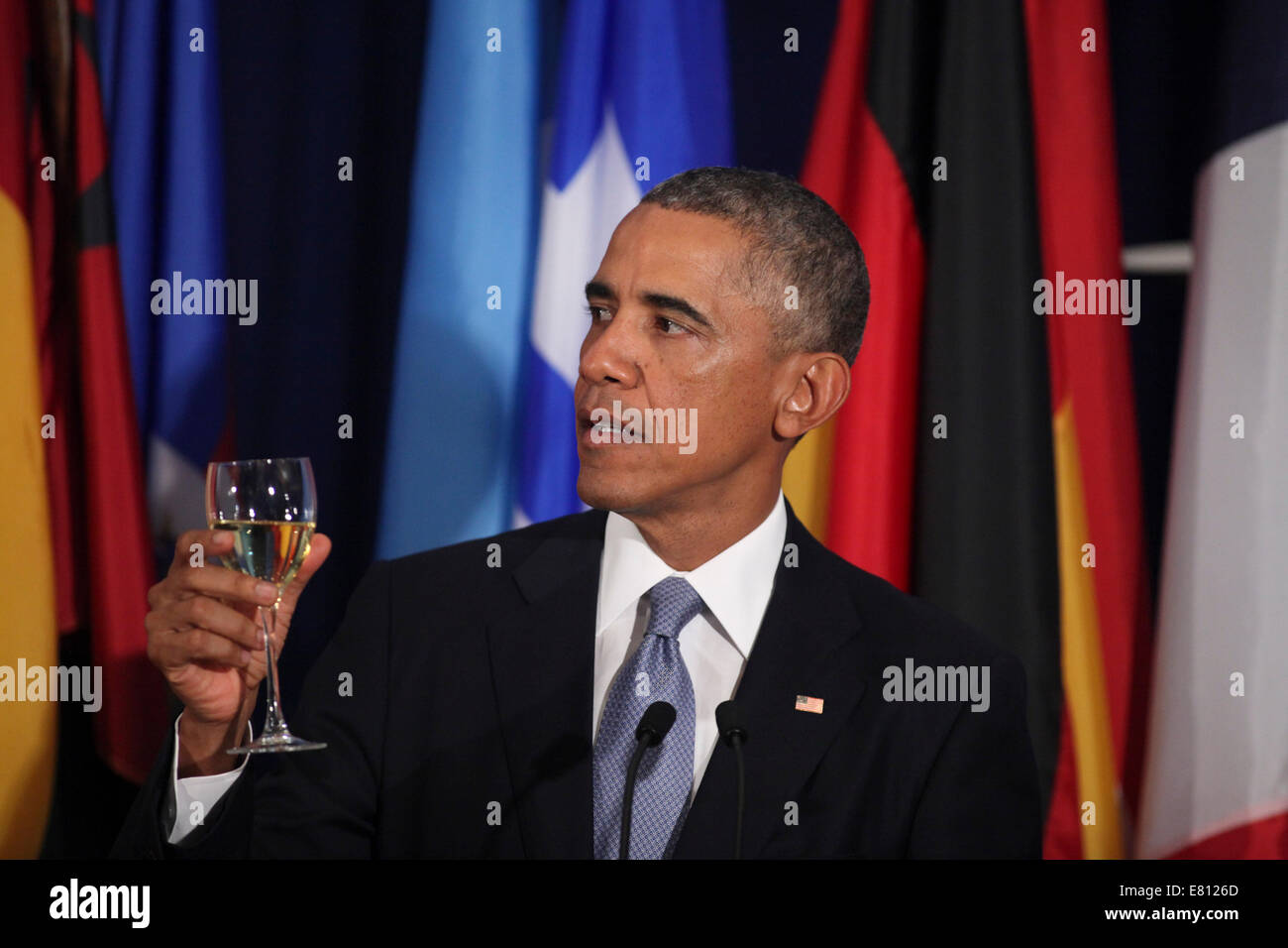 United States President Barack Obama makes remarks as he offers a toast ...