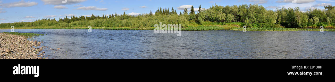 Panoramic river landscape in the polar Urals. Summer in the Russian ...