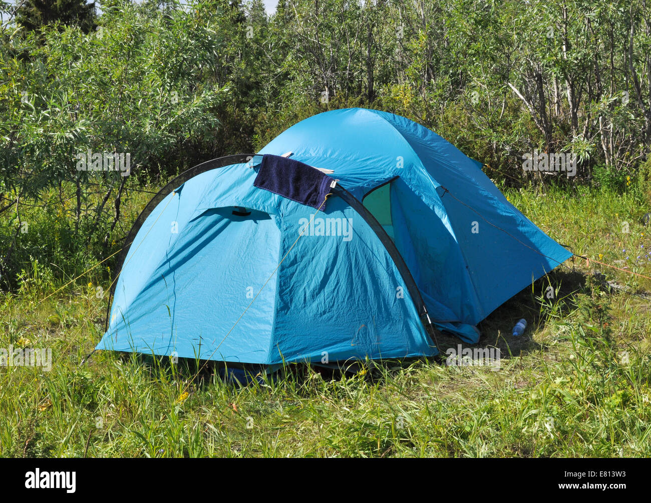 Camping tent. Turquoise tent stands on a grassy glade Stock Photo - Alamy