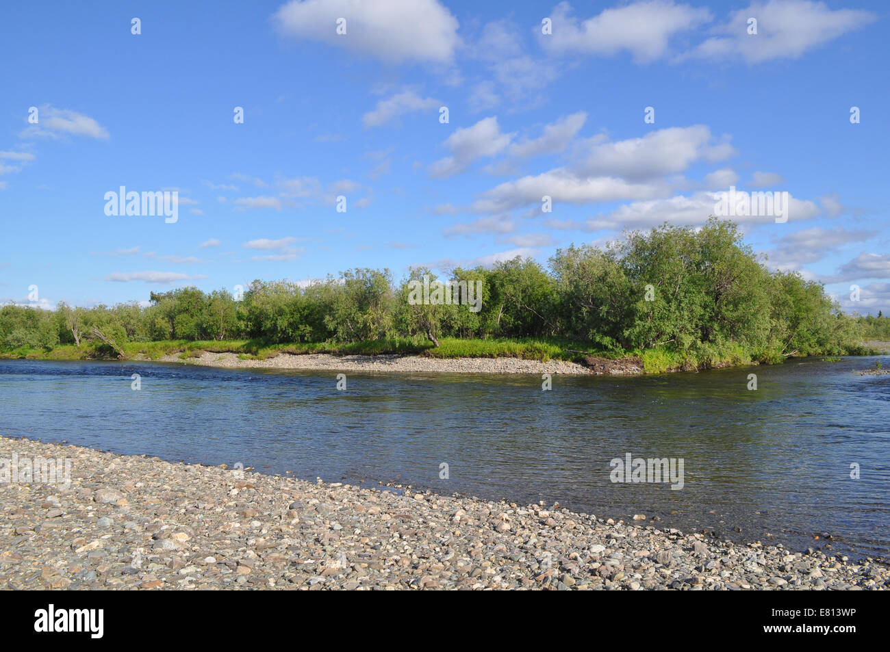 Wild river landscape in the polar Urals. The pebbly shore of the North ...