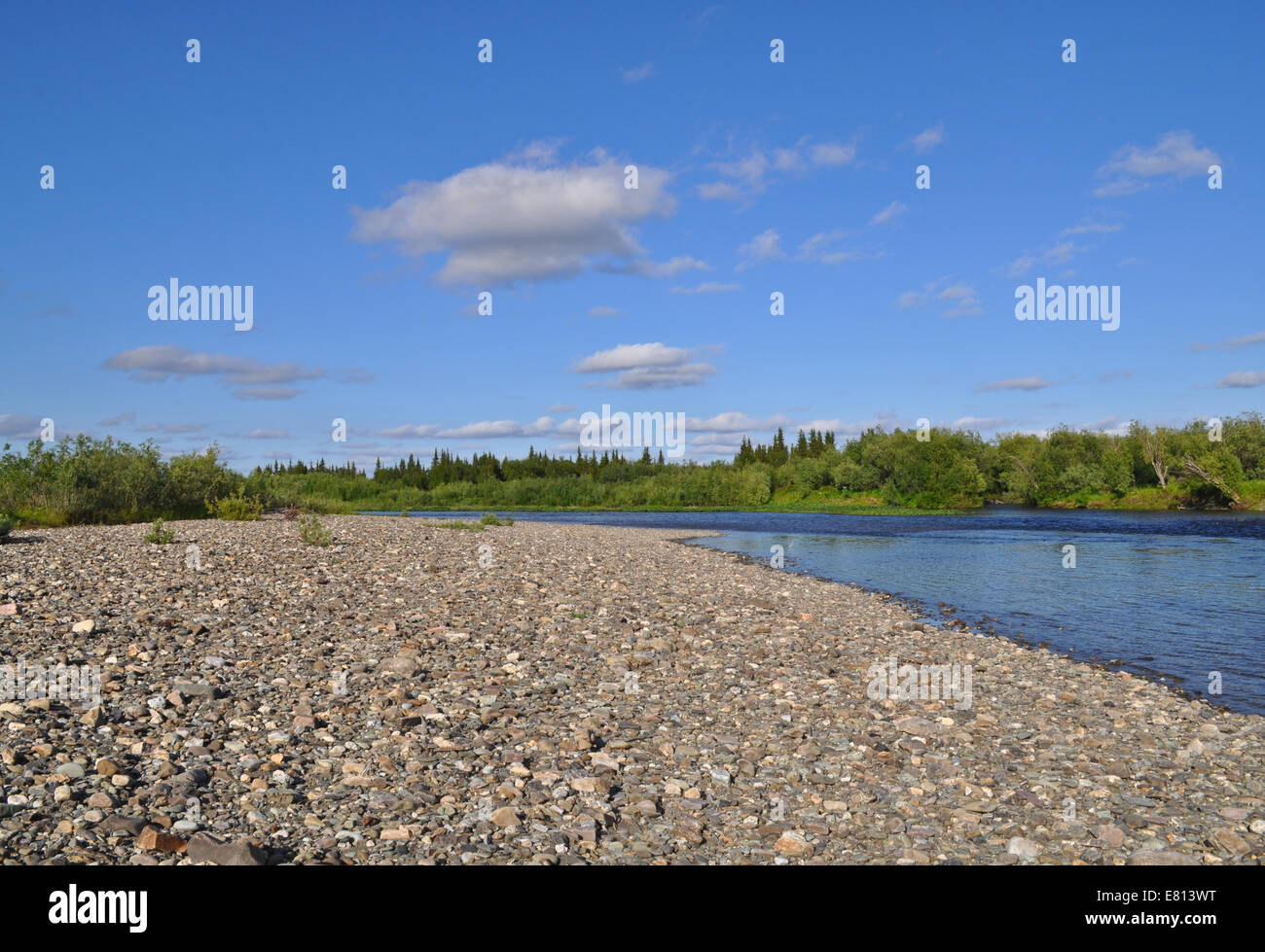 Wild river landscape in the polar Urals. The pebbly shore of the North ...