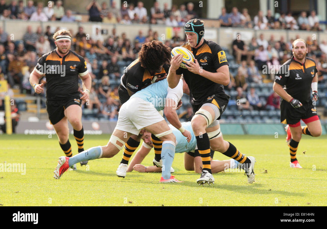 James gaskell wasps hi-res stock photography and images - Alamy