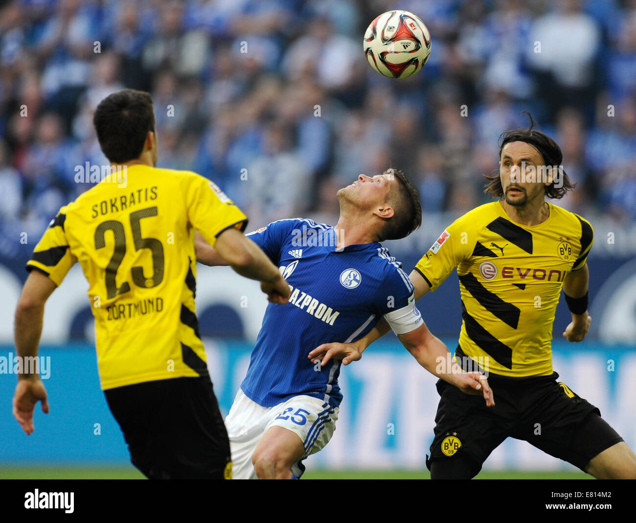 Veltins Arena, Gelsenkirchen, Germany. 27th September, 2014., German ...