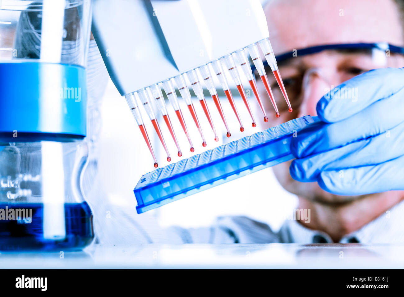 Scientist uses multipipette during DNA research Stock Photo - Alamy