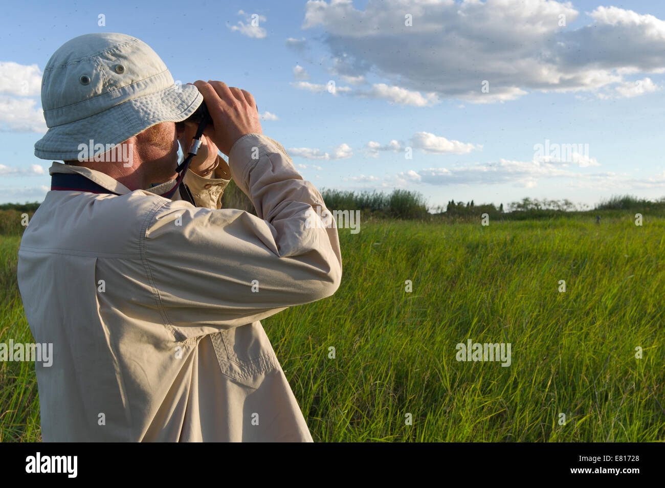 A researcher looks for birds in Bangweulu Wetlands Stock Photo - Alamy