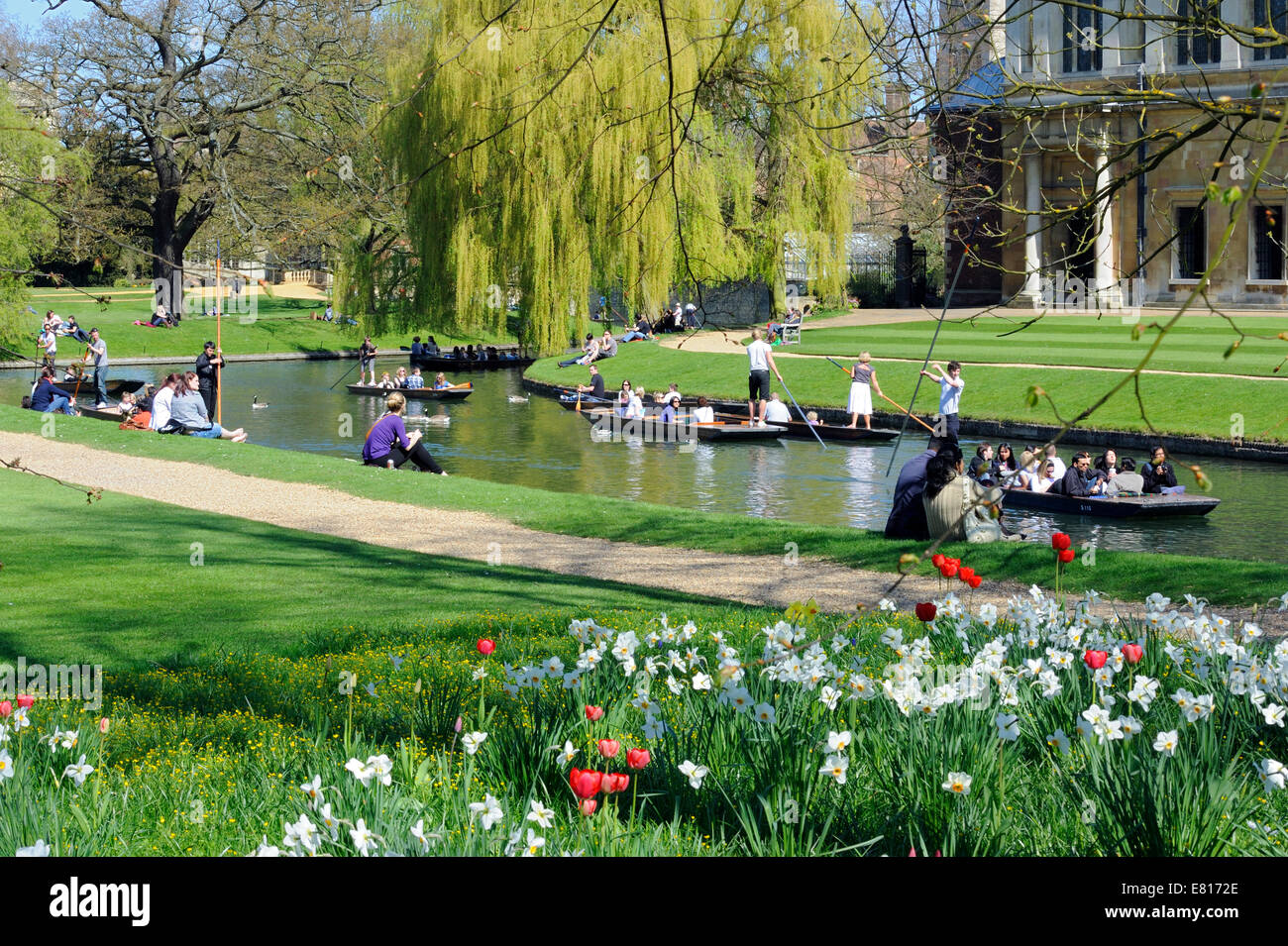Students punting on the River Cam in Cambridge Stock Photo - Alamy