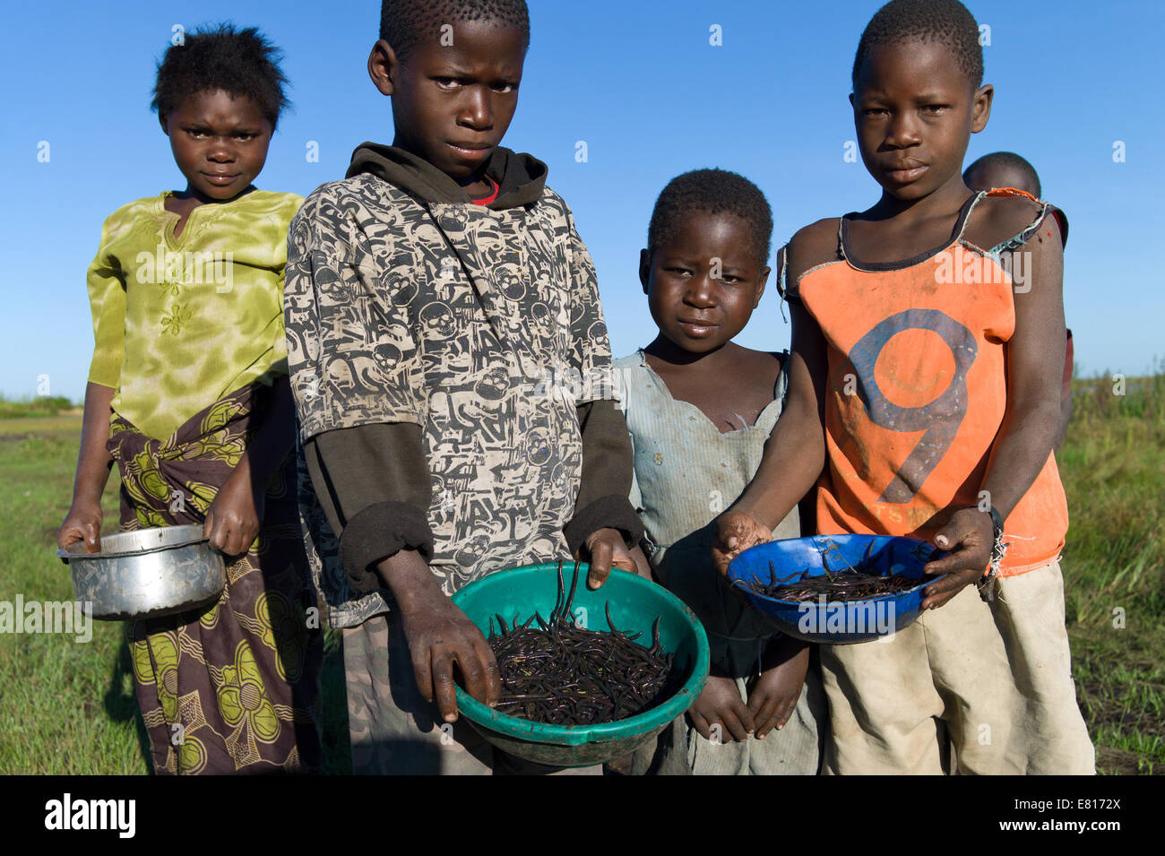 Kids dig up worms to be used for fishing in Bangweulu Wetlands, Zambia ...