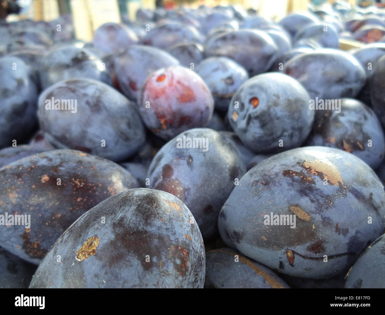 Ripe organic plums Stock Photo - Alamy