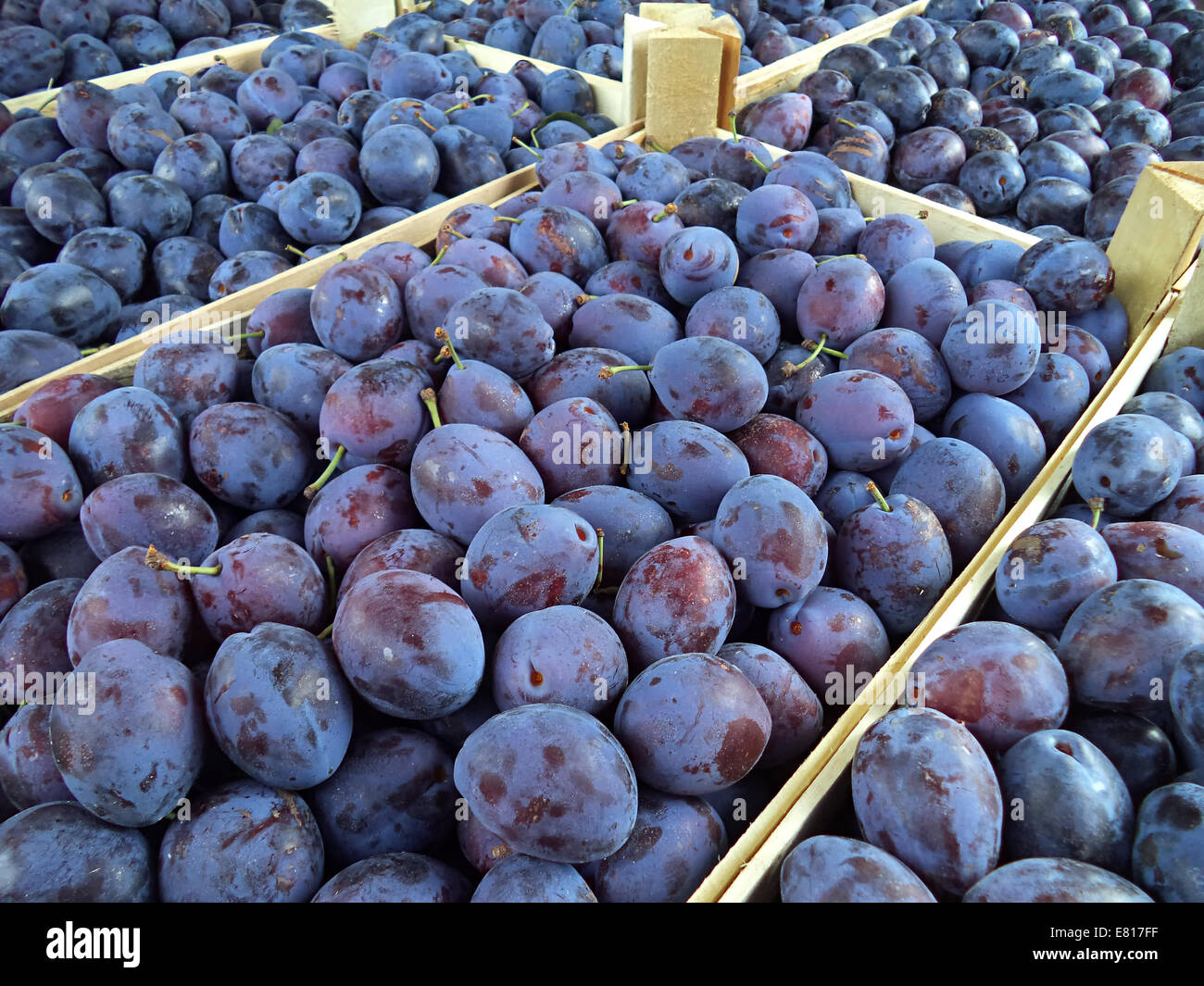Ogranic hi-res stock photography and images - Alamy