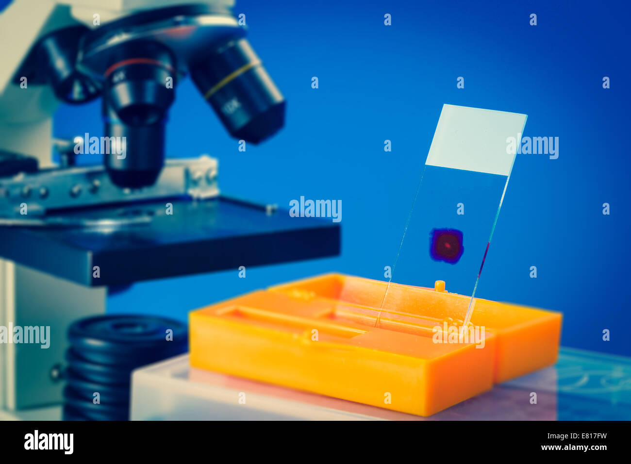 Microscope in a university laboratory Stock Photo - Alamy