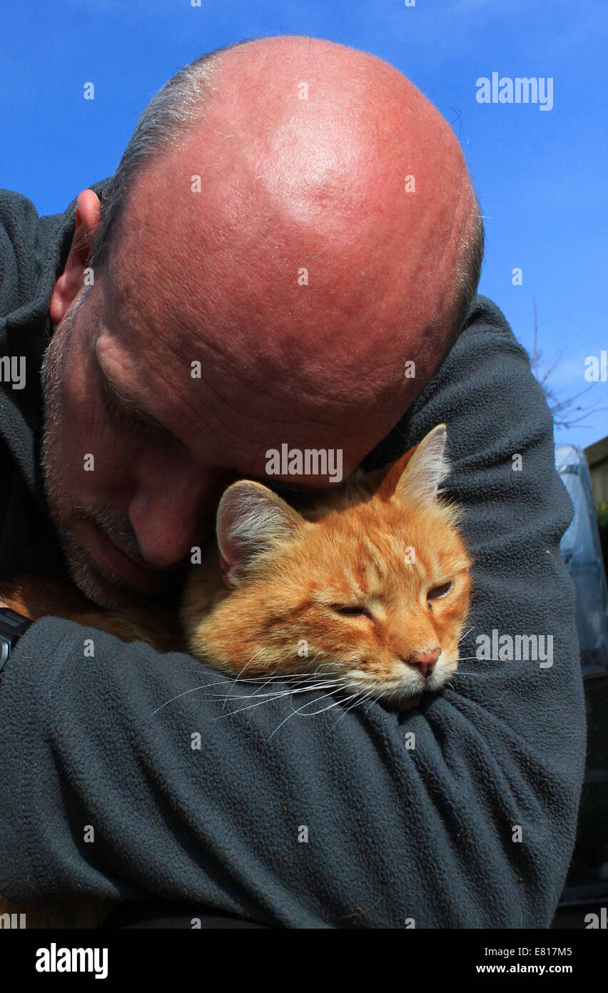 Man with ginger cat Stock Photo - Alamy