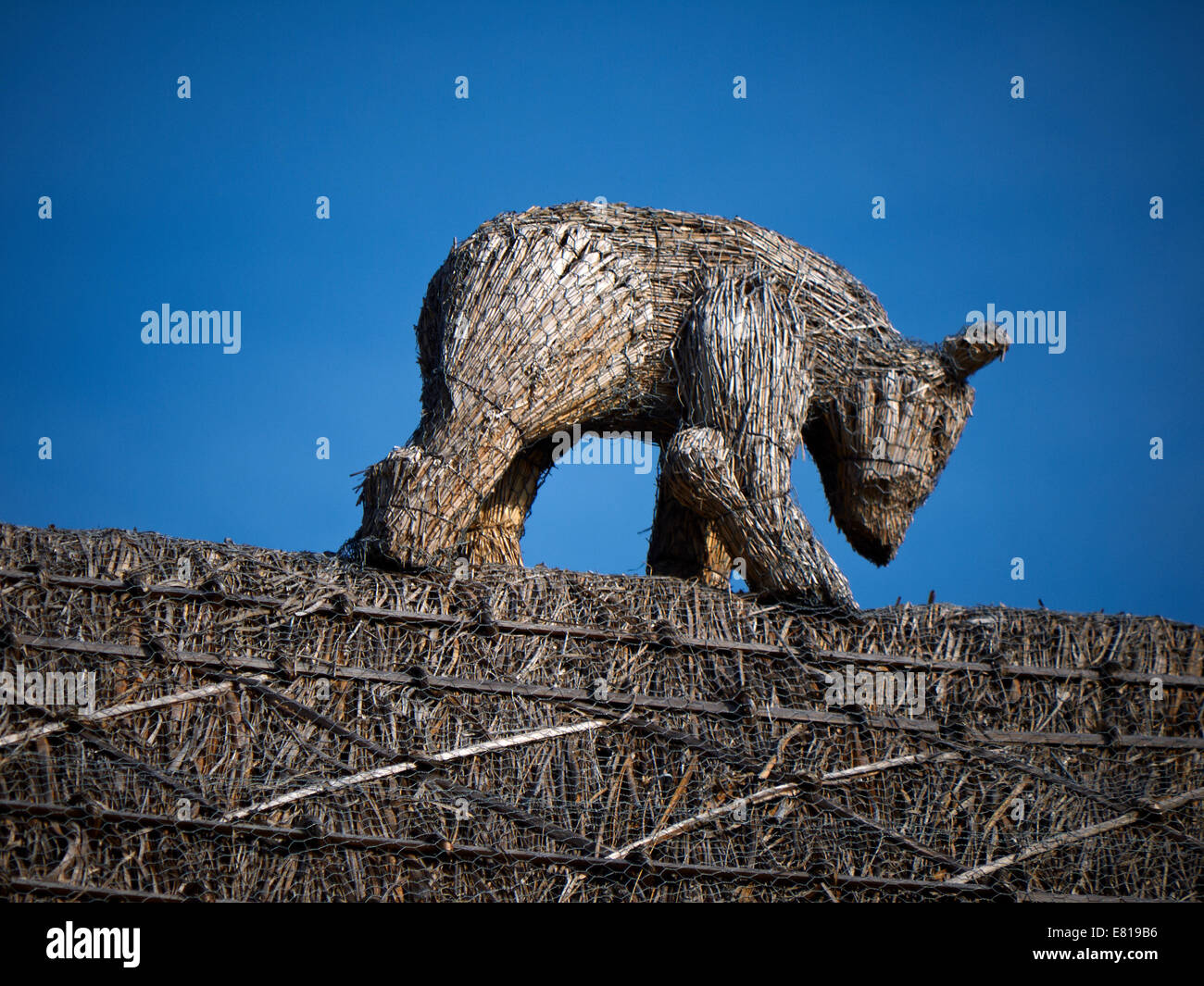 Thatched Roof Animal High Resolution Stock Photography and Images - Alamy