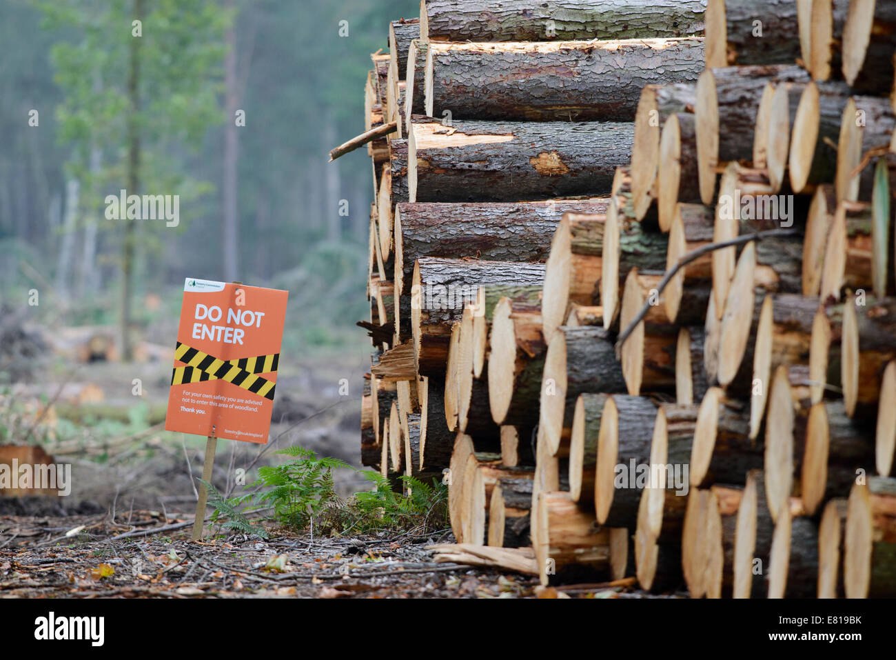 Log pile sign hi-res stock photography and images - Alamy