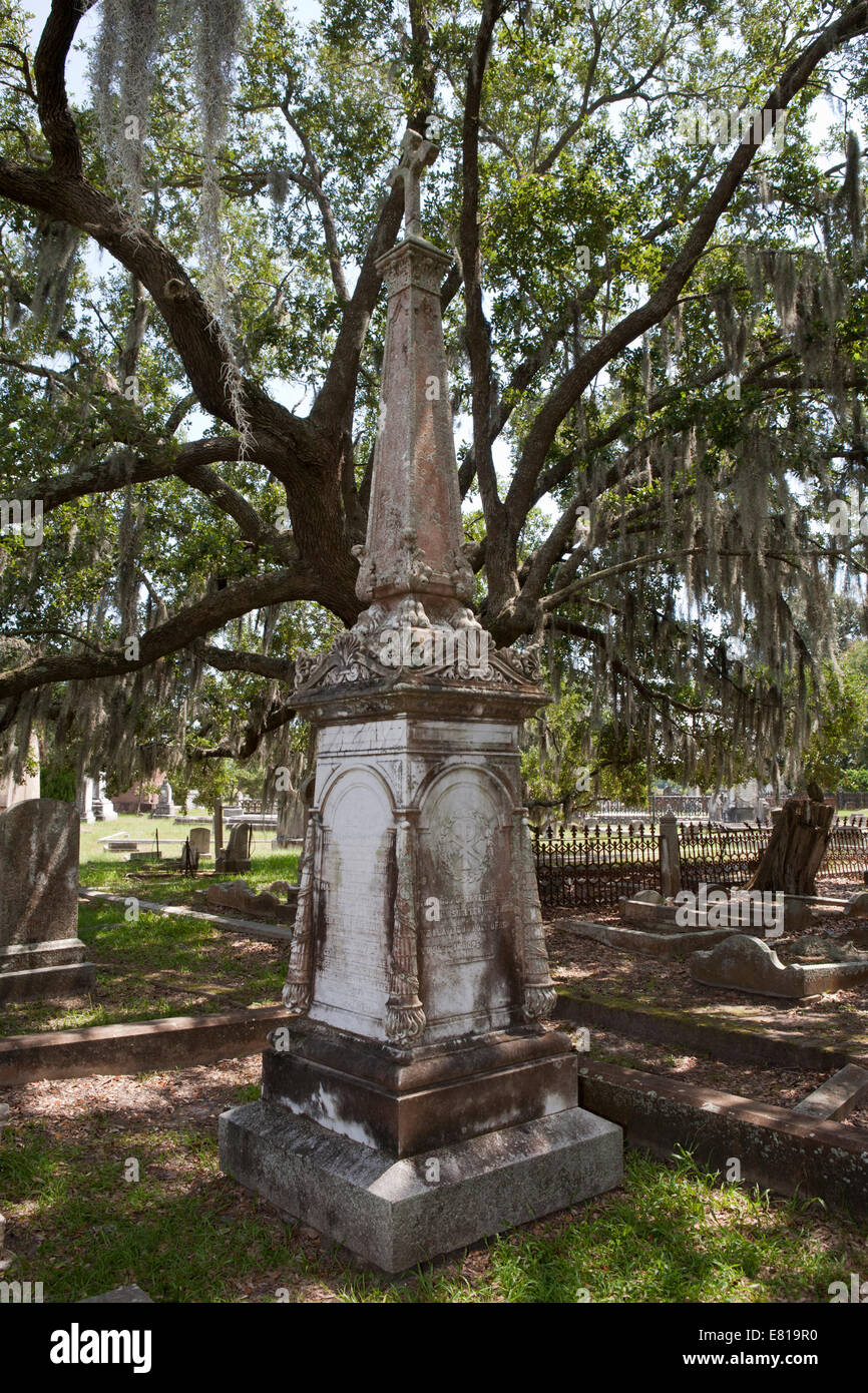 Grave of Henry Edward Young, major in the Confederate Army and Judge Advocate General of the ...