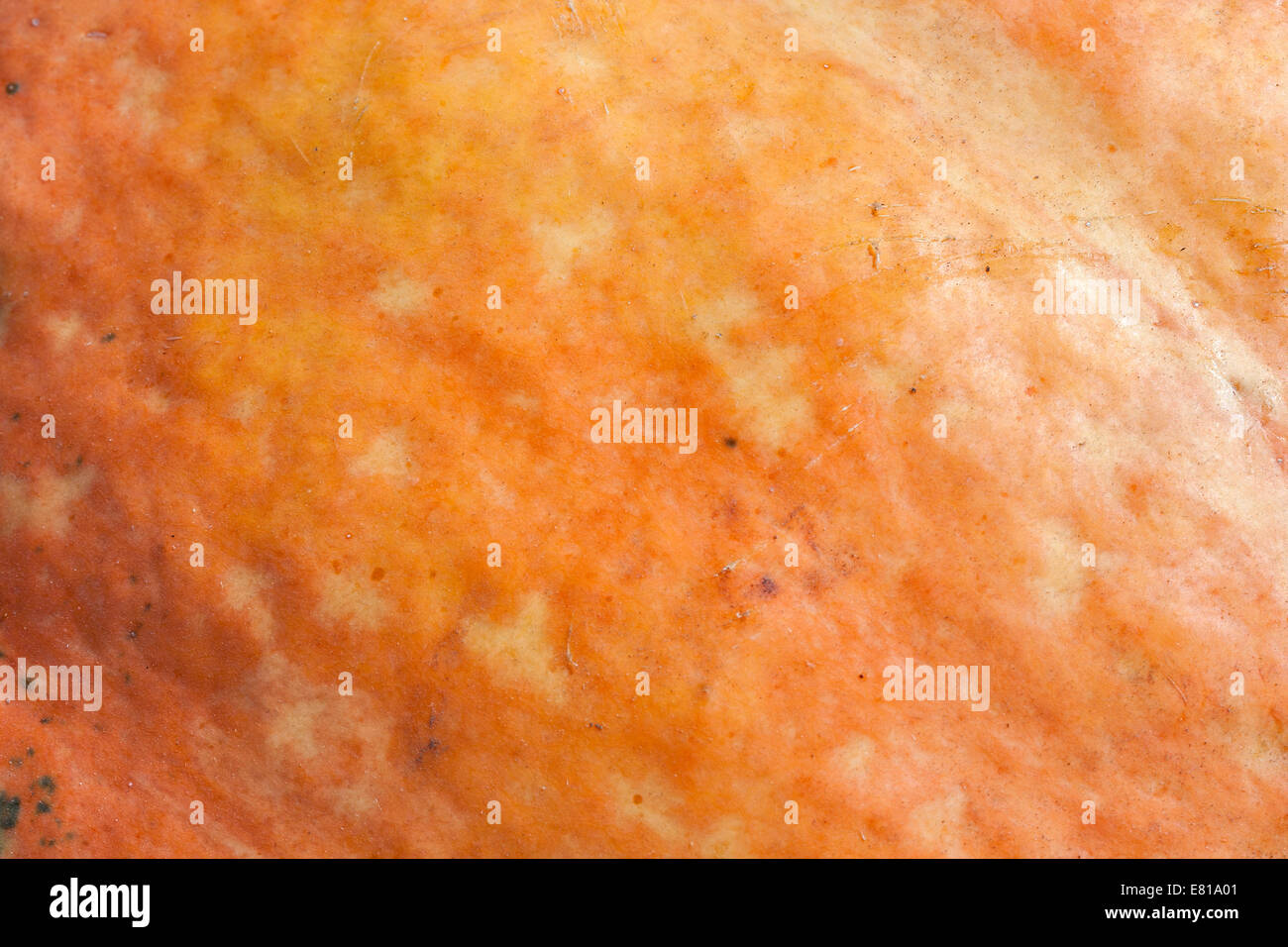 Pumpkin background hi-res stock photography and images - Alamy