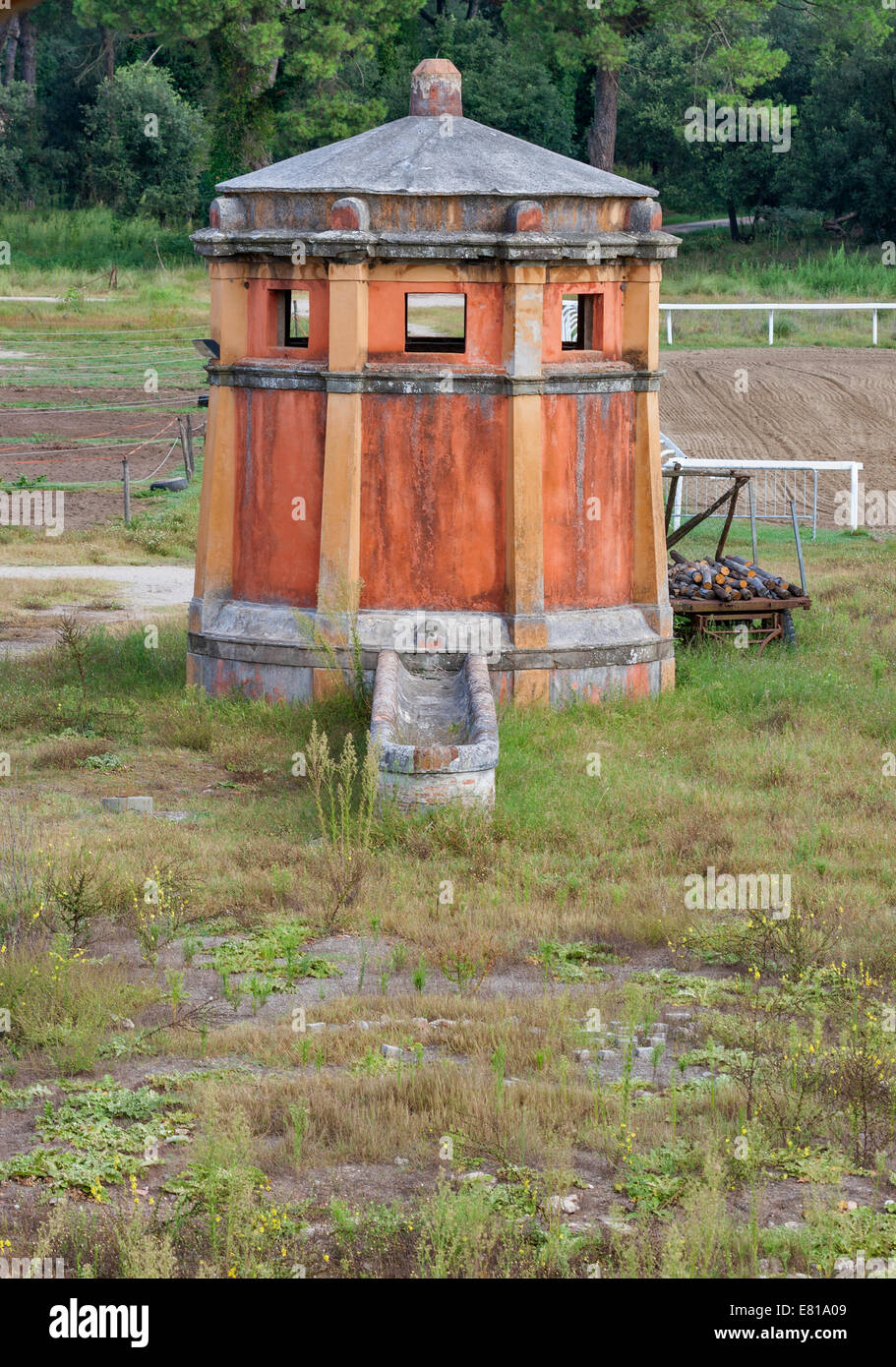 ancient building troughs for horses on a farm in Tuscany, Italy Stock ...