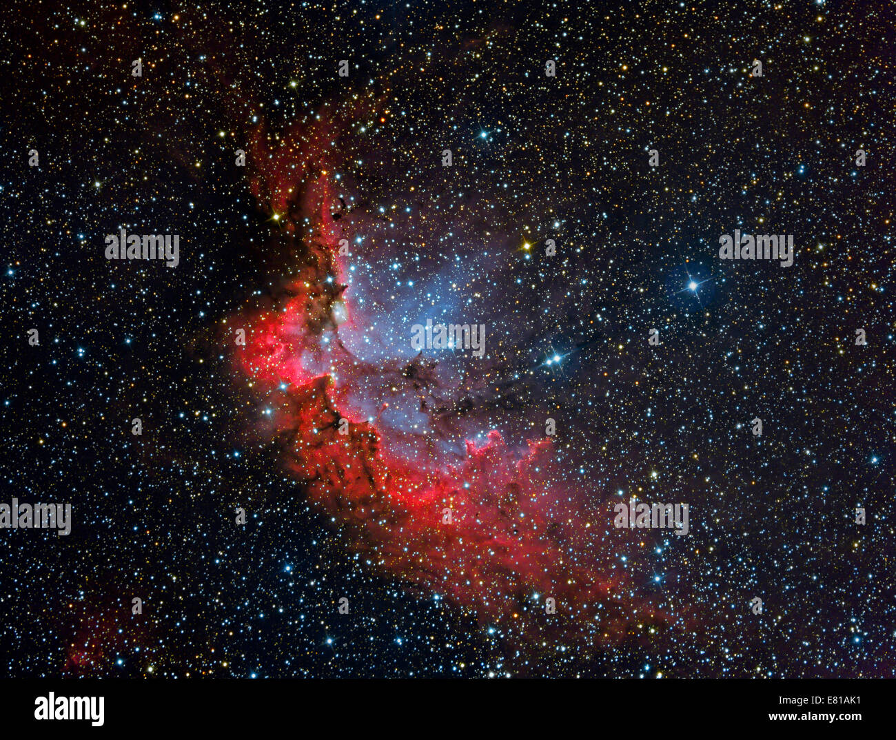 No Wizard Nebula Stars