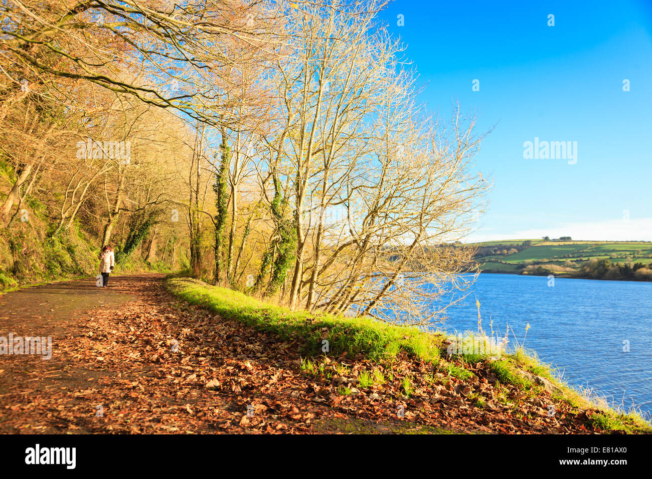 Beautiful autumn pathway. Co.Cork, Ireland Europe. Woman walking ...