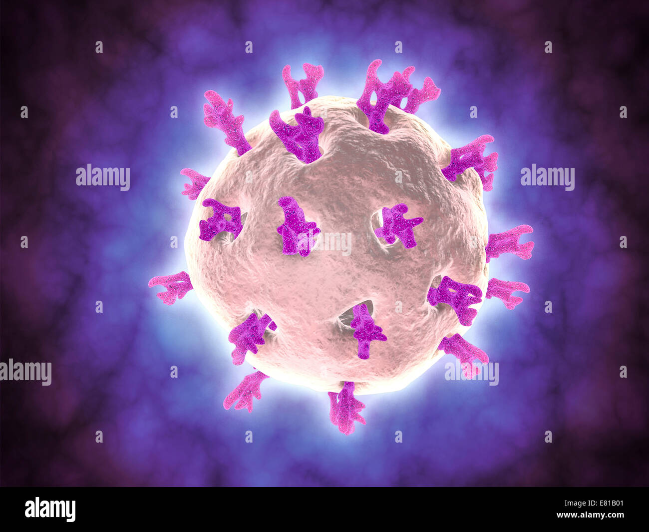 Rotavirus hi-res stock photography and images - Alamy