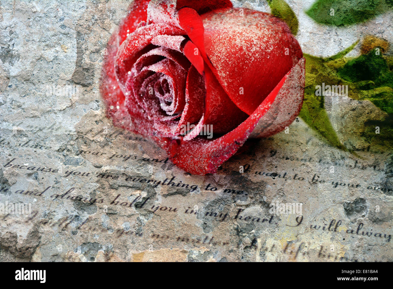 Red rose on love letter Stock Photo - Alamy