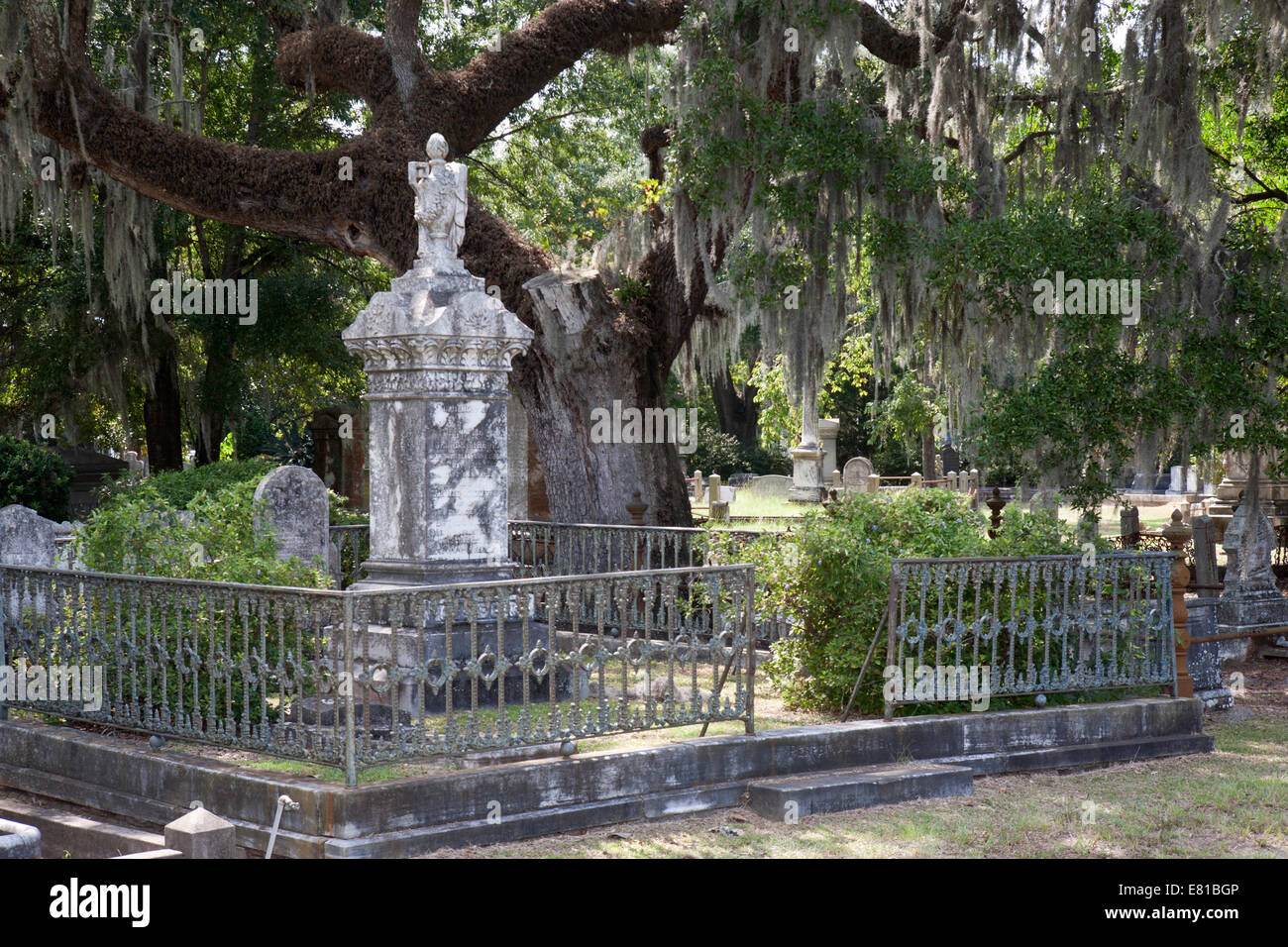 Magnolia cemetery hi-res stock photography and images - Alamy