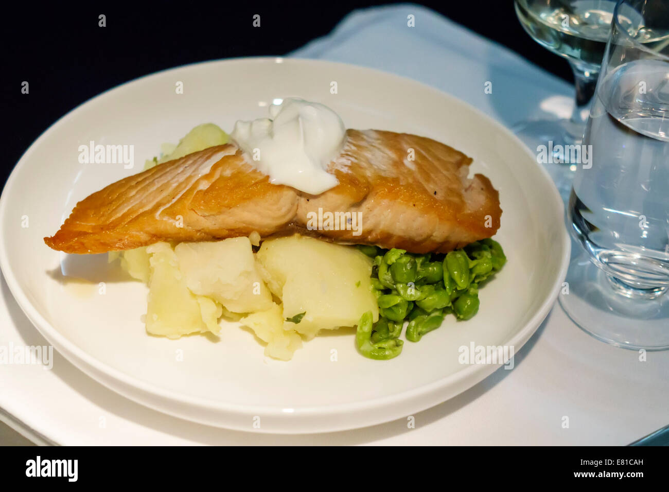 New York,New York,John F. Kennedy International Airport,JFK,onboard ...