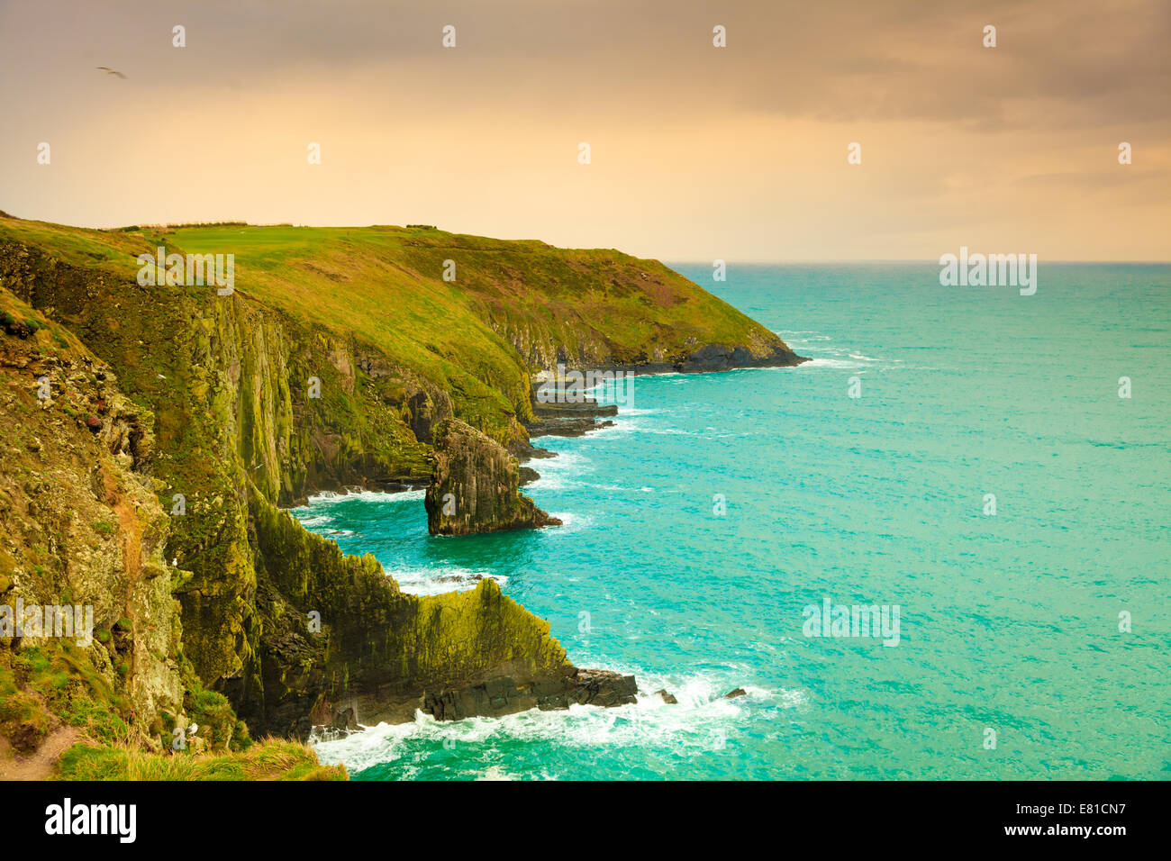 Irish landscape. Coastline atlantic ocean rocky coast scenery. County ...