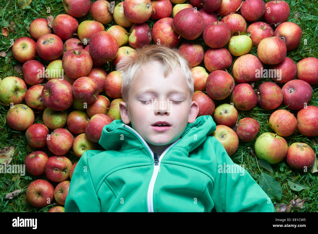 Child blond boy lying on the green grass background with apples ...