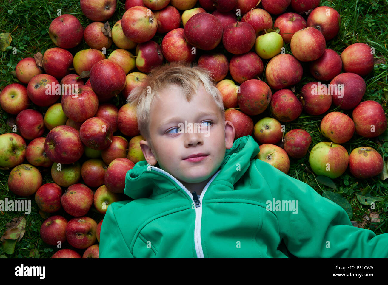 Child blond boy lying on the green grass background with apples ...