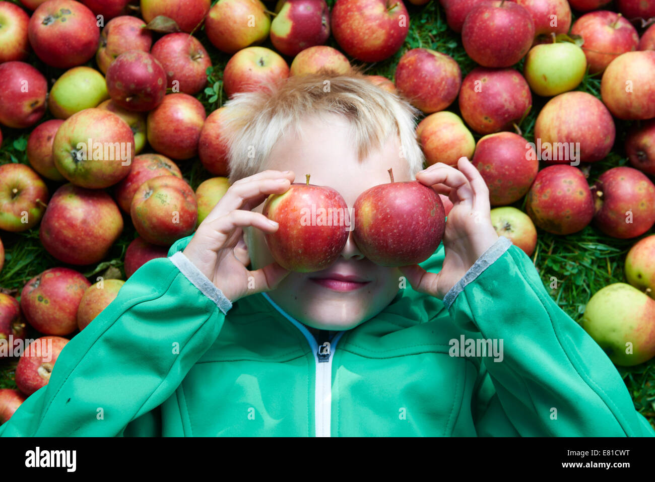 Child blond boy lying on the green grass background with apples ...
