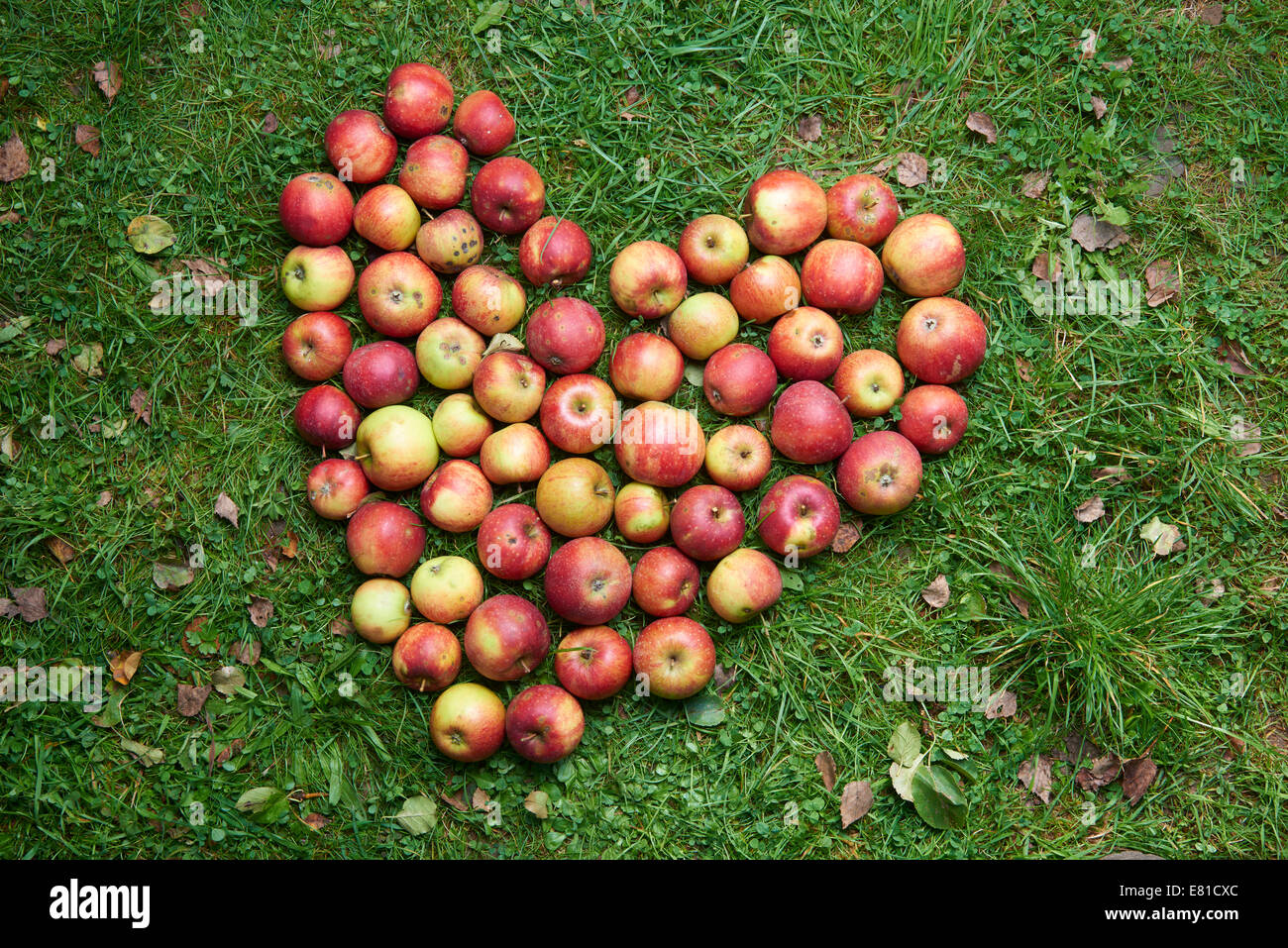Sweet Heart Made Of Apples Stock Photo - Alamy