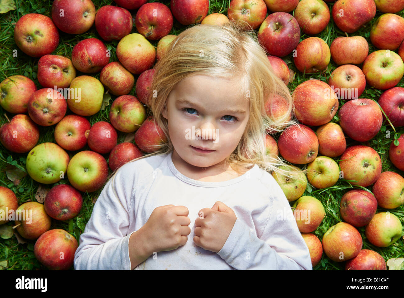 Holds the apples garden hi-res stock photography and images - Alamy