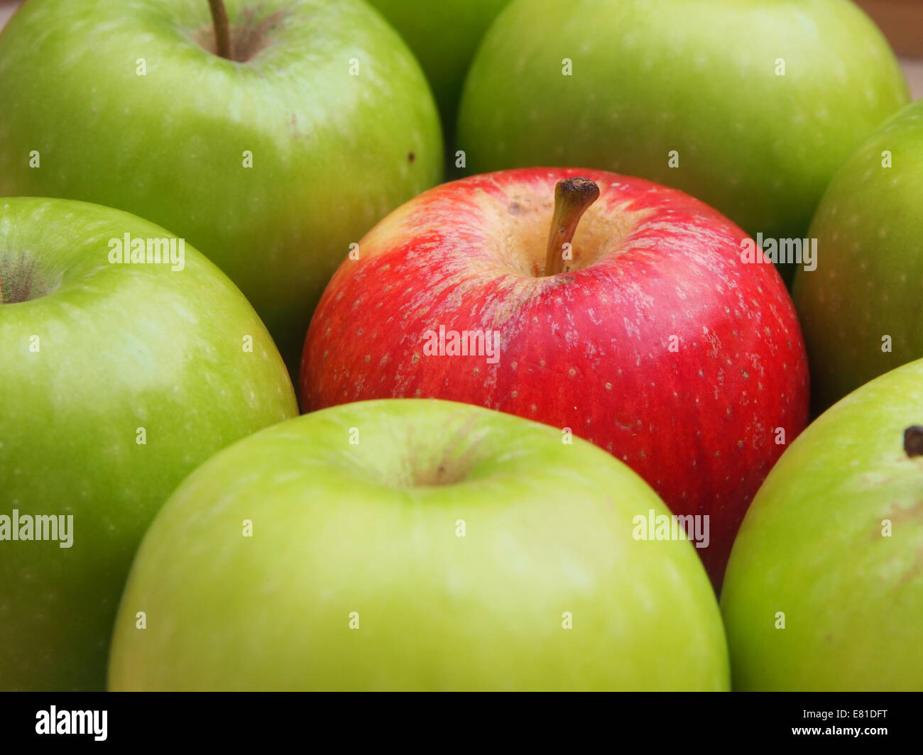 A red apple surrounded by green apples Stock Photo - Alamy
