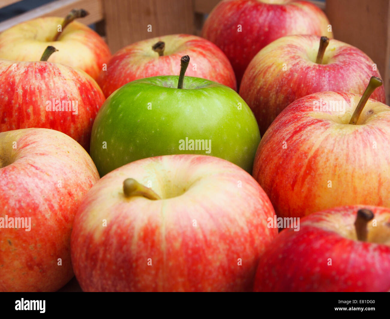 A apple surrounded by apples Stock Photo - Alamy