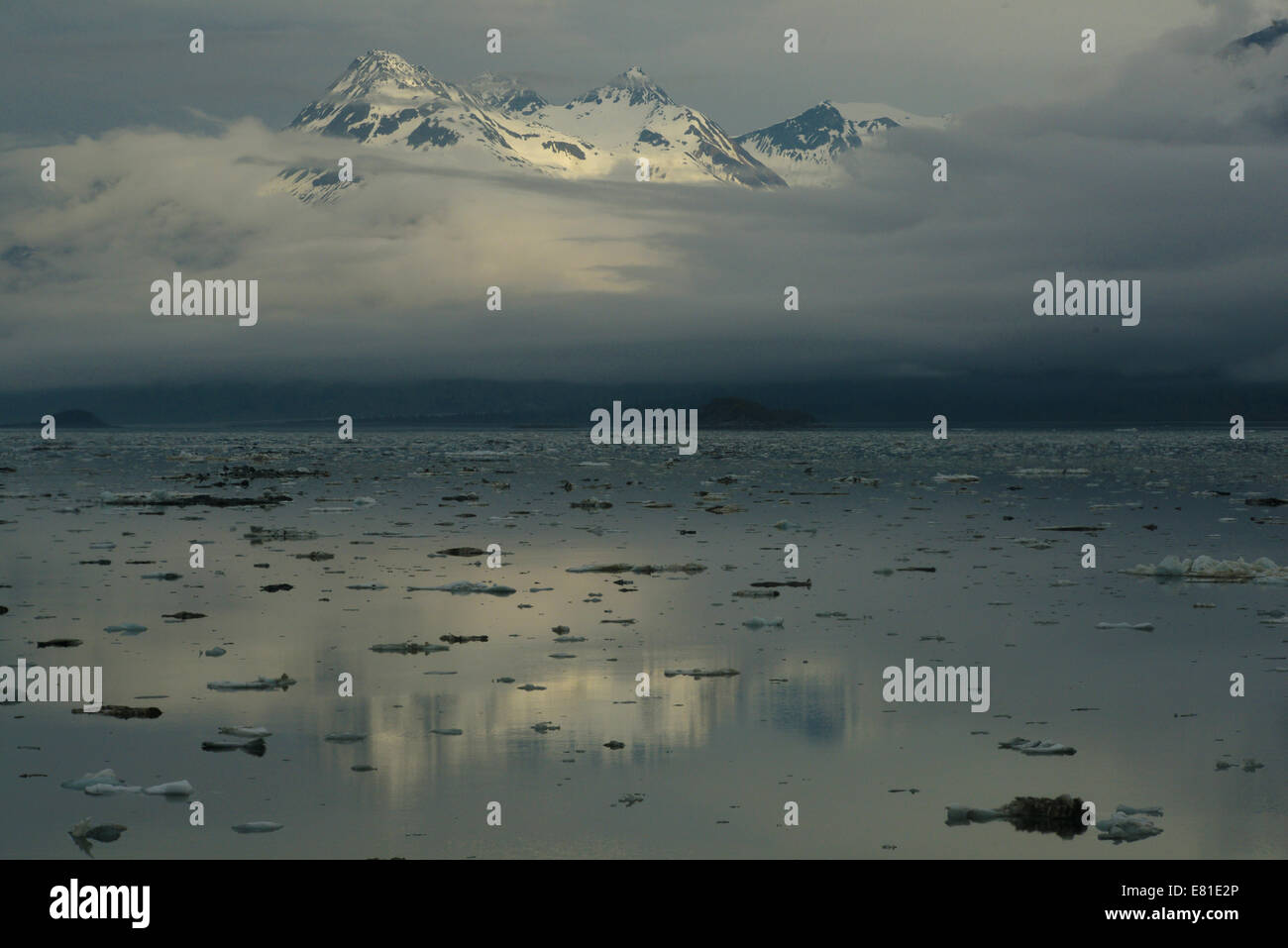 Glacier Bay in Alaska with nature, glaciers, ice, falling glaciers and ...