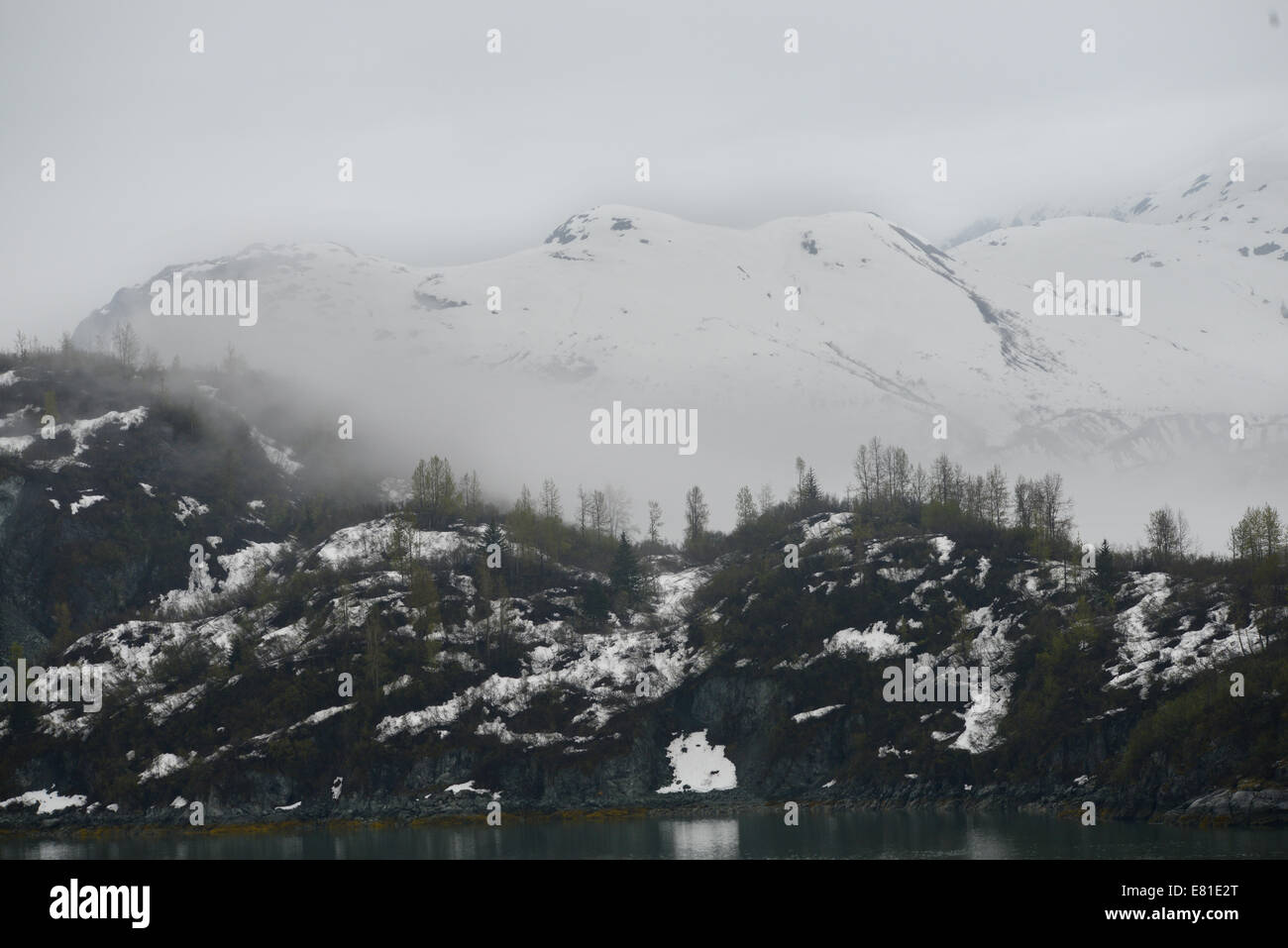 Glacier Bay in Alaska with nature, glaciers, ice, falling glaciers and ...