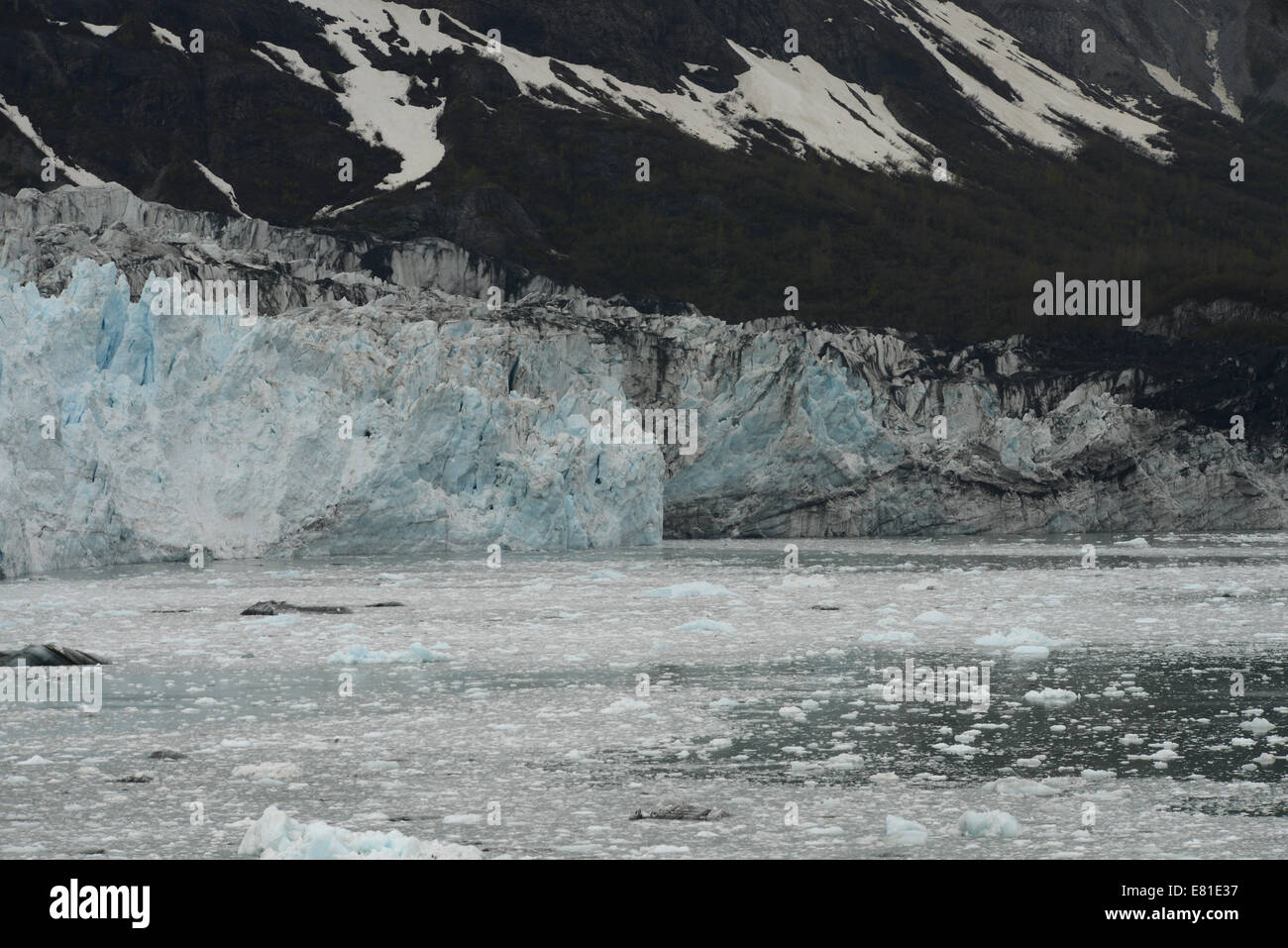 Glacier Bay in Alaska with nature, glaciers, ice, falling glaciers and ...