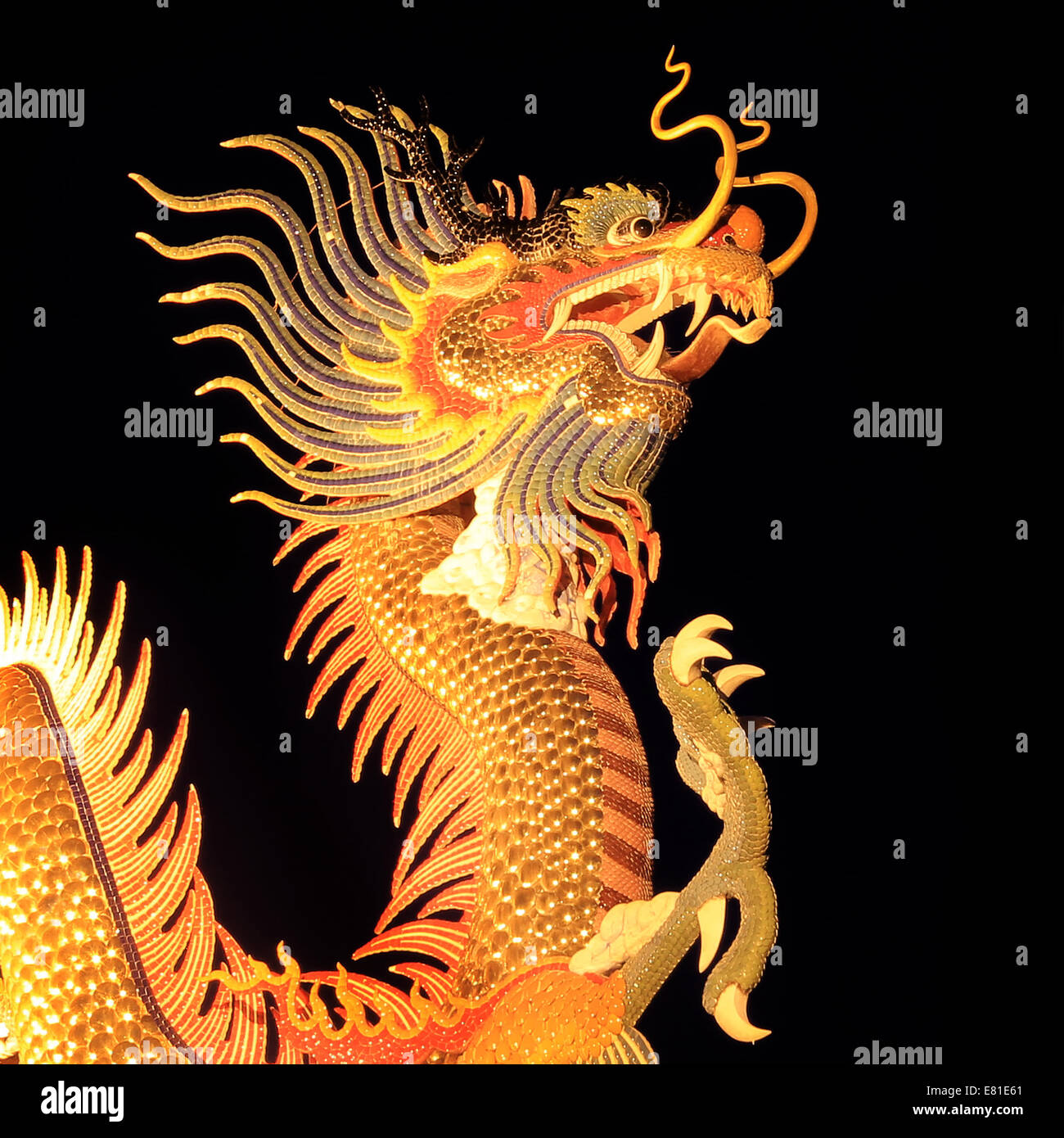 Black Chinese Dragon Wallpaper