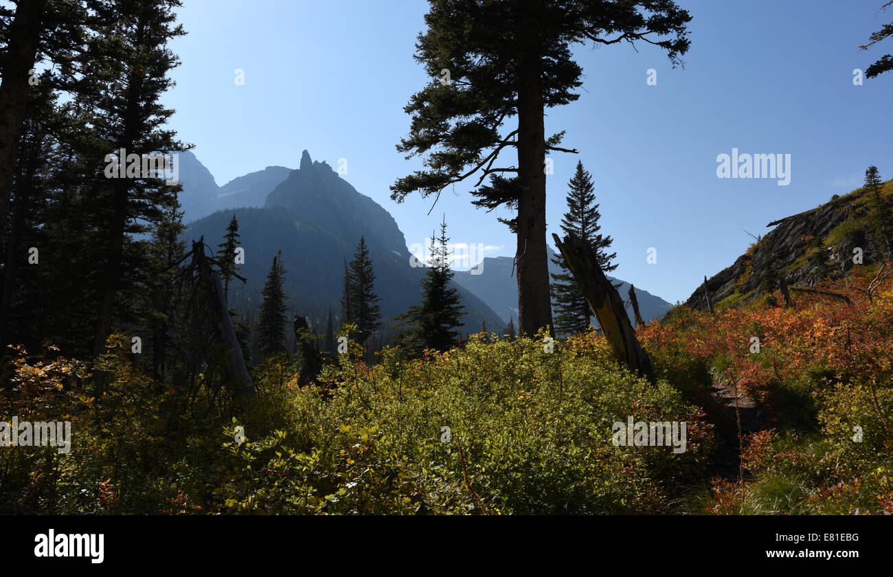 Trail towards Upper Two Medicine Lake in Glacier National Park, Montana ...
