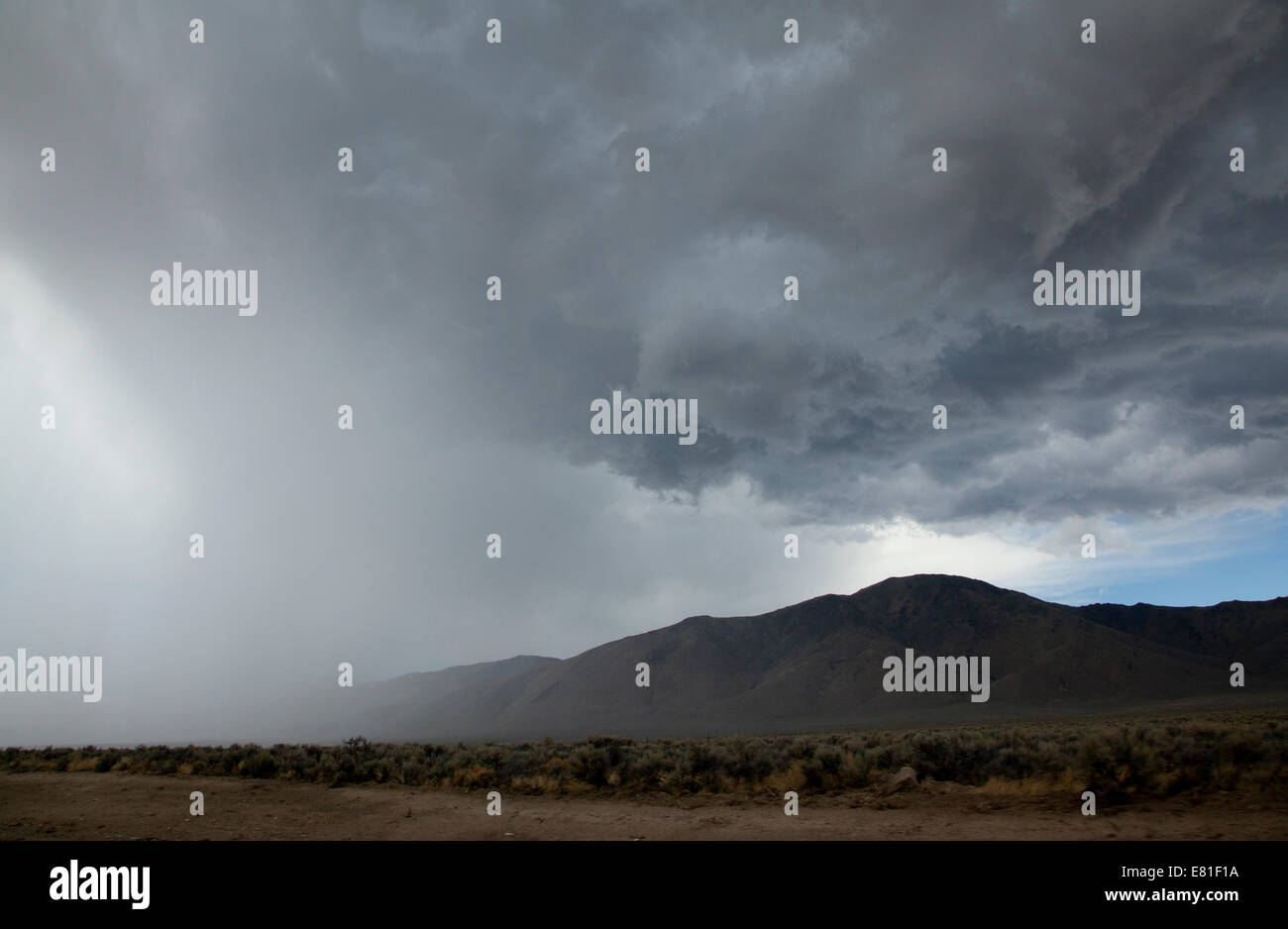 Rain storm in the Nevada desert, August, 2014 Stock Photo - Alamy