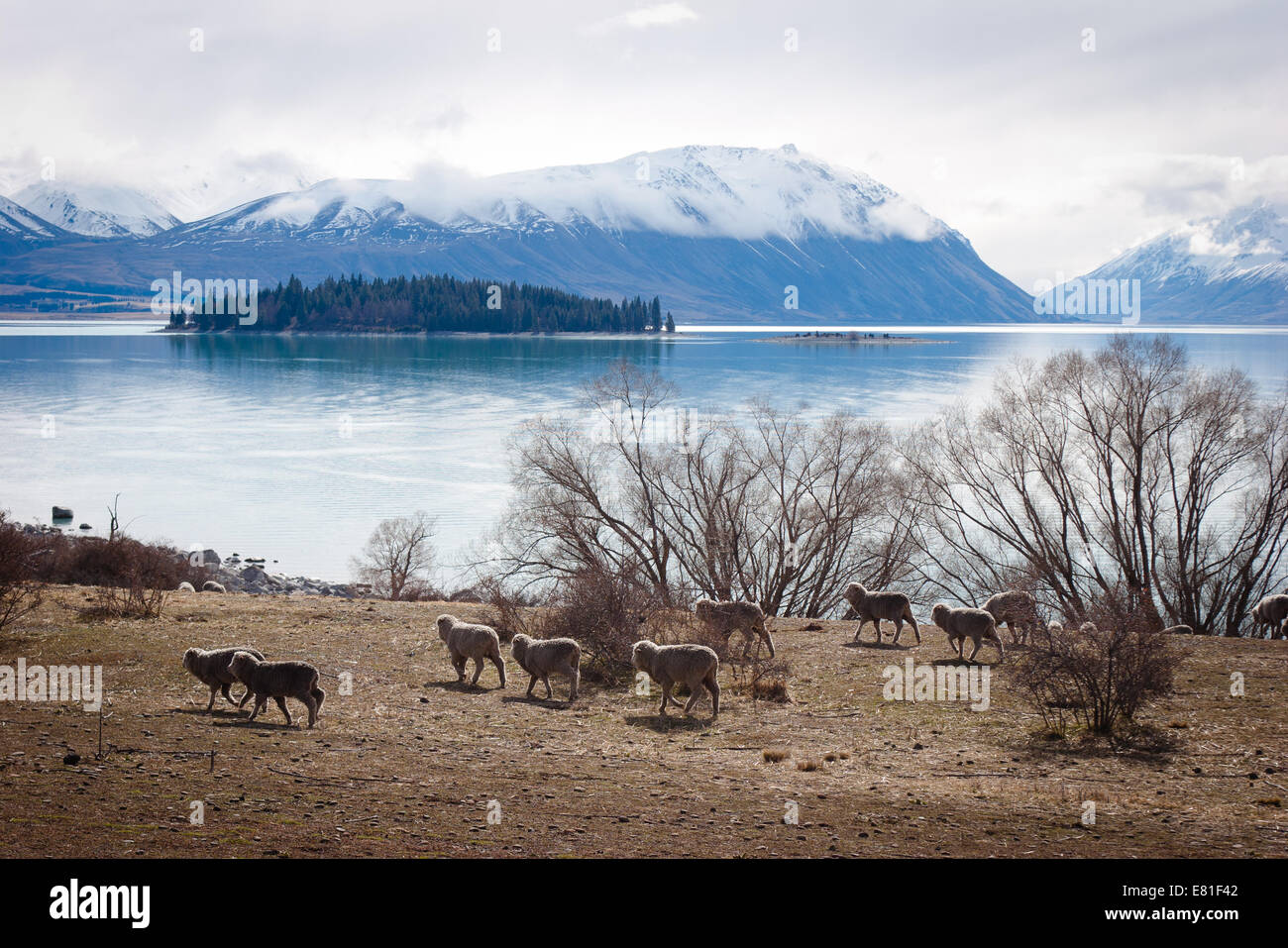 Alpine Landscape, South Island, New Zealand Stock Photo - Alamy