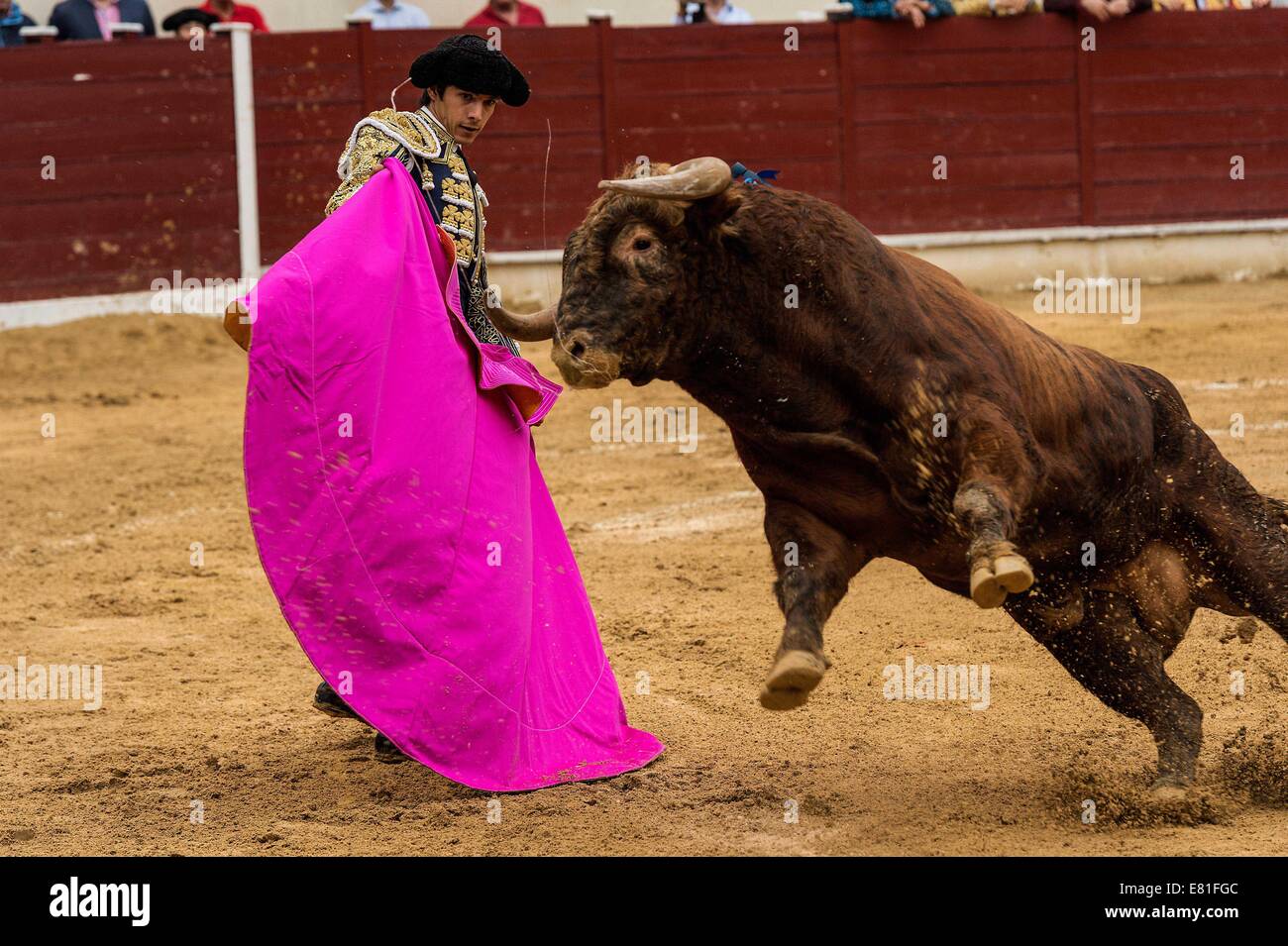 Sept. 27, 2014 - AbarÃ¡N, Spain - Bullfighting in AbarÃ¡n on 27.9.2014 ...