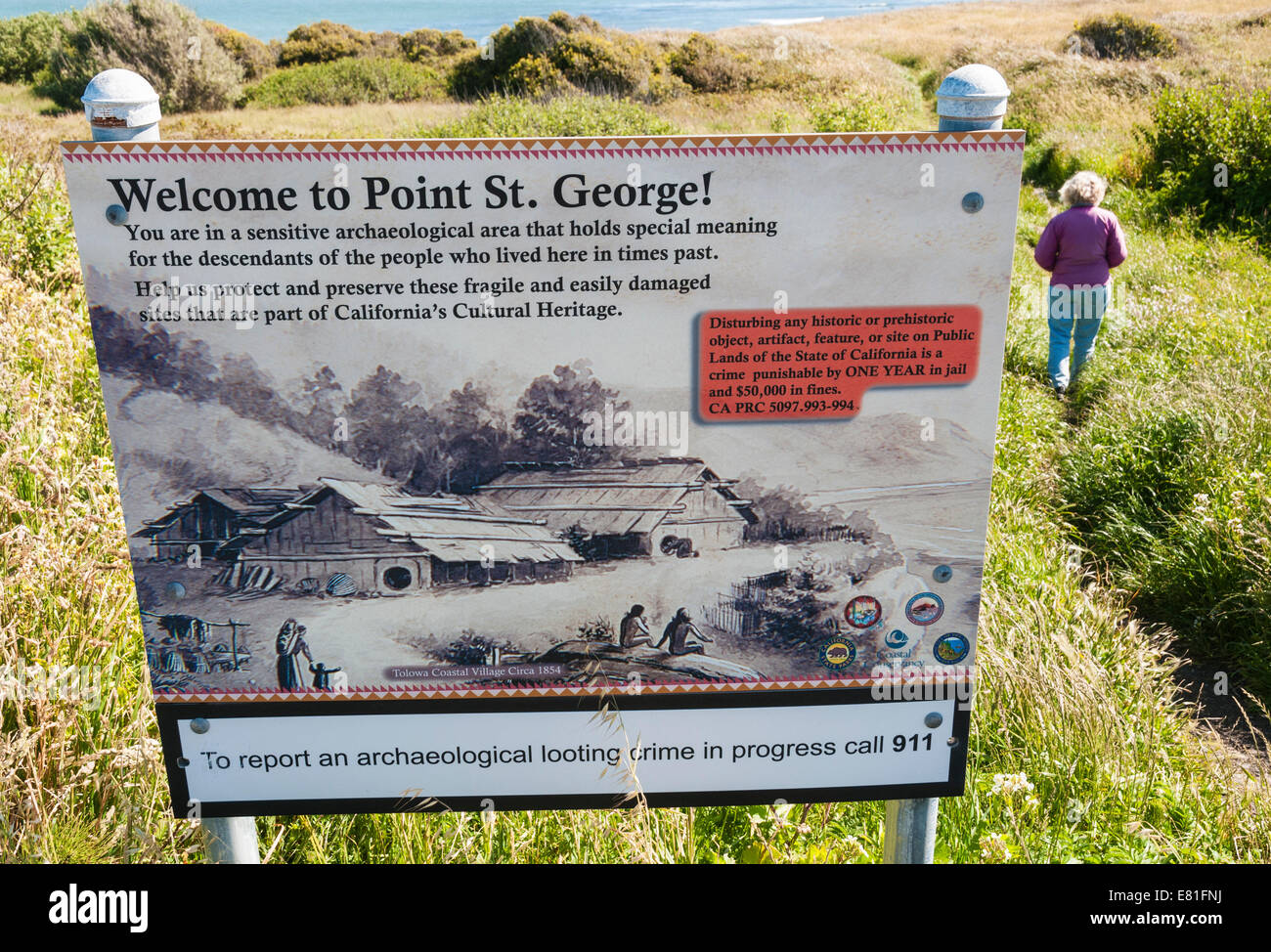California, Crescent City vicinity, Pacific Ocean Coast, Point St ...