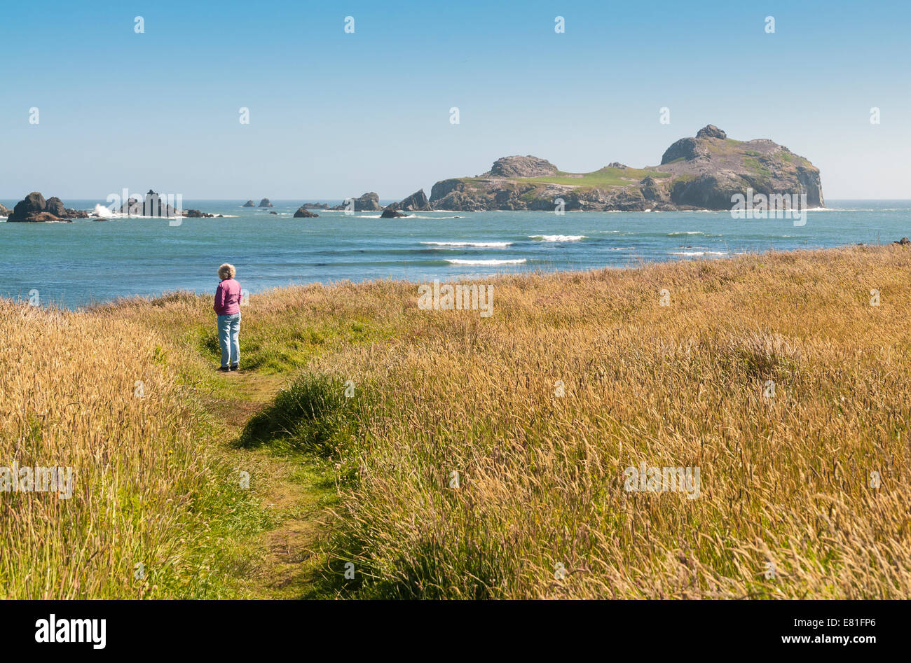 California, Crescent City vicinity, Pacific Ocean Coast, Point St ...