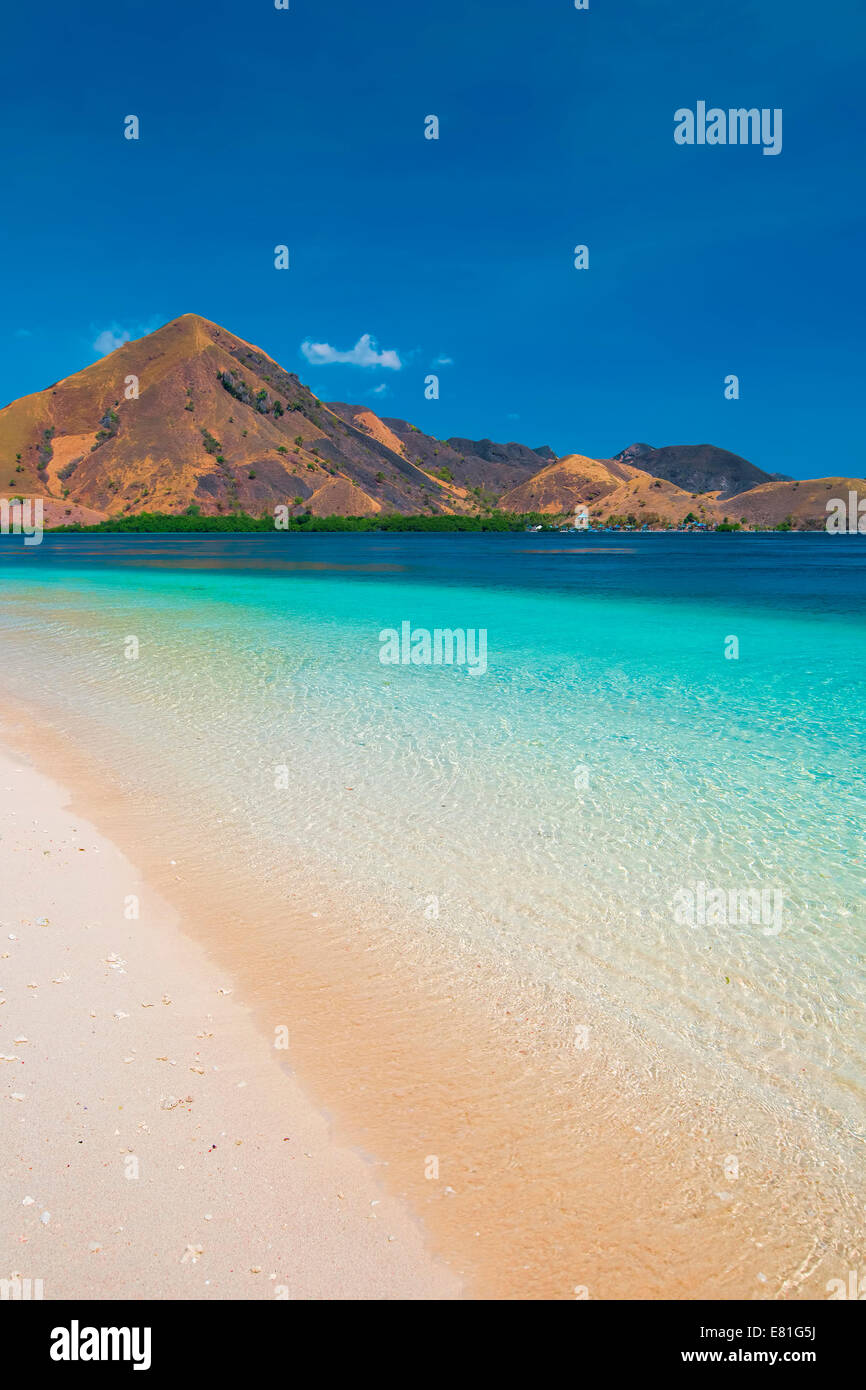 Komodo island hi-res stock photography and images - Alamy