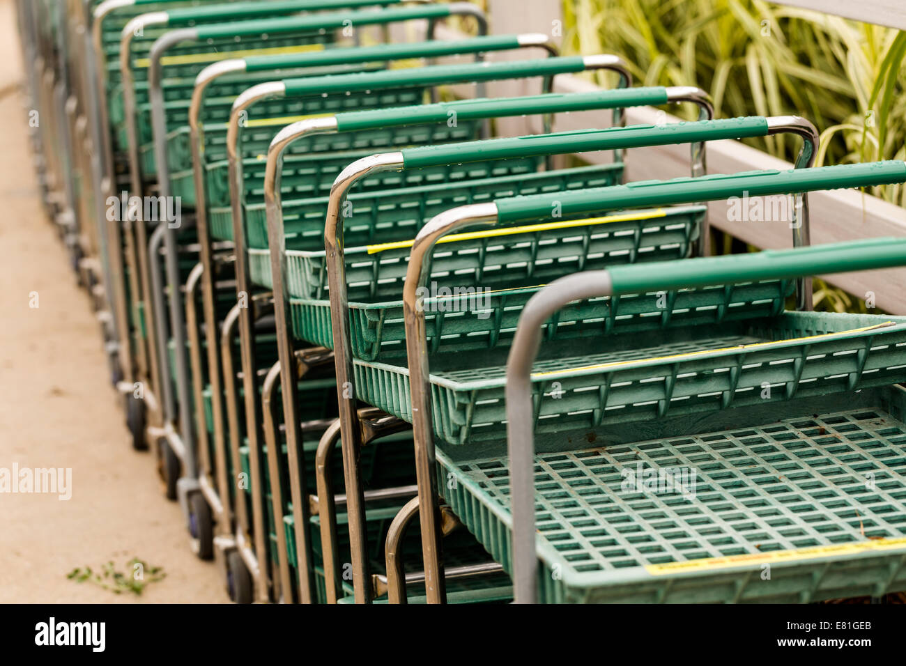 Large green shopping cart in a row Stock Photo - Alamy